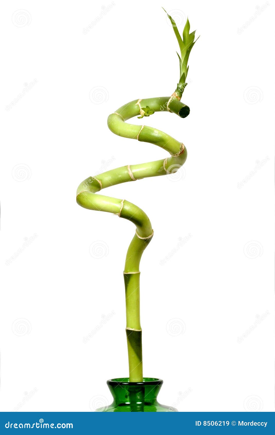 Bamboo stick stock image. Image of nature, flowerpot, meditation - 8506219