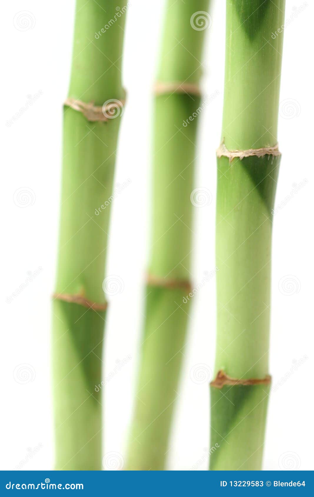 Bamboo sticks stock image. Image of asia, backgrounds - 13229583
