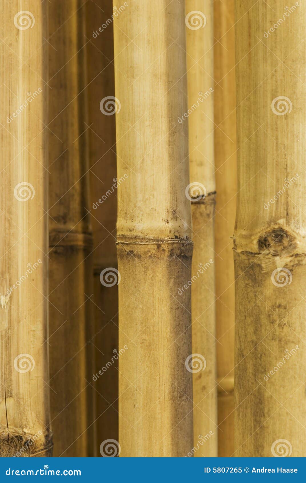 Bamboo sticks stock image. Image of traditional, stick - 5807265