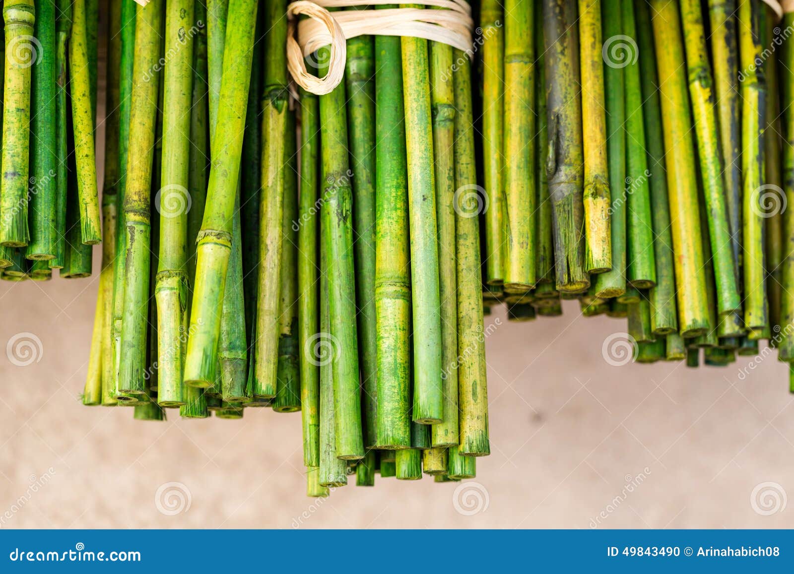 Bamboo sticks stock photo. Image of twig, green, associated - 49843490