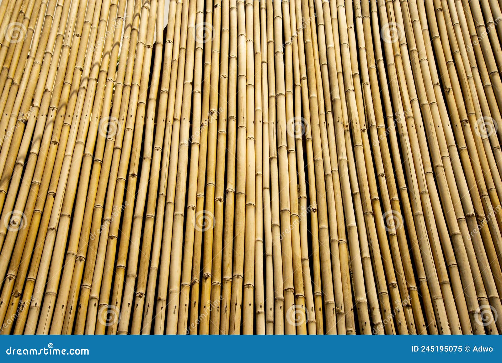 Bamboo Sticks Texture stock image. Image of nature, construction ...