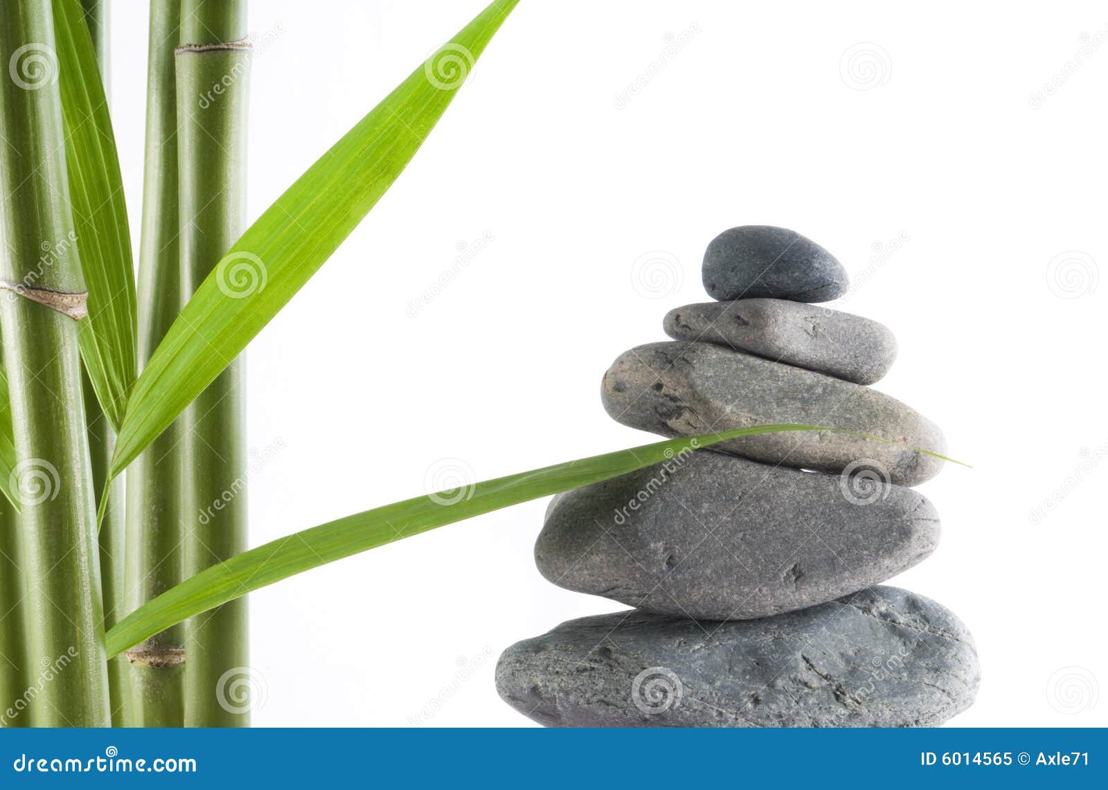 Bamboo and stones stock image. Image of balance, rock - 6014565