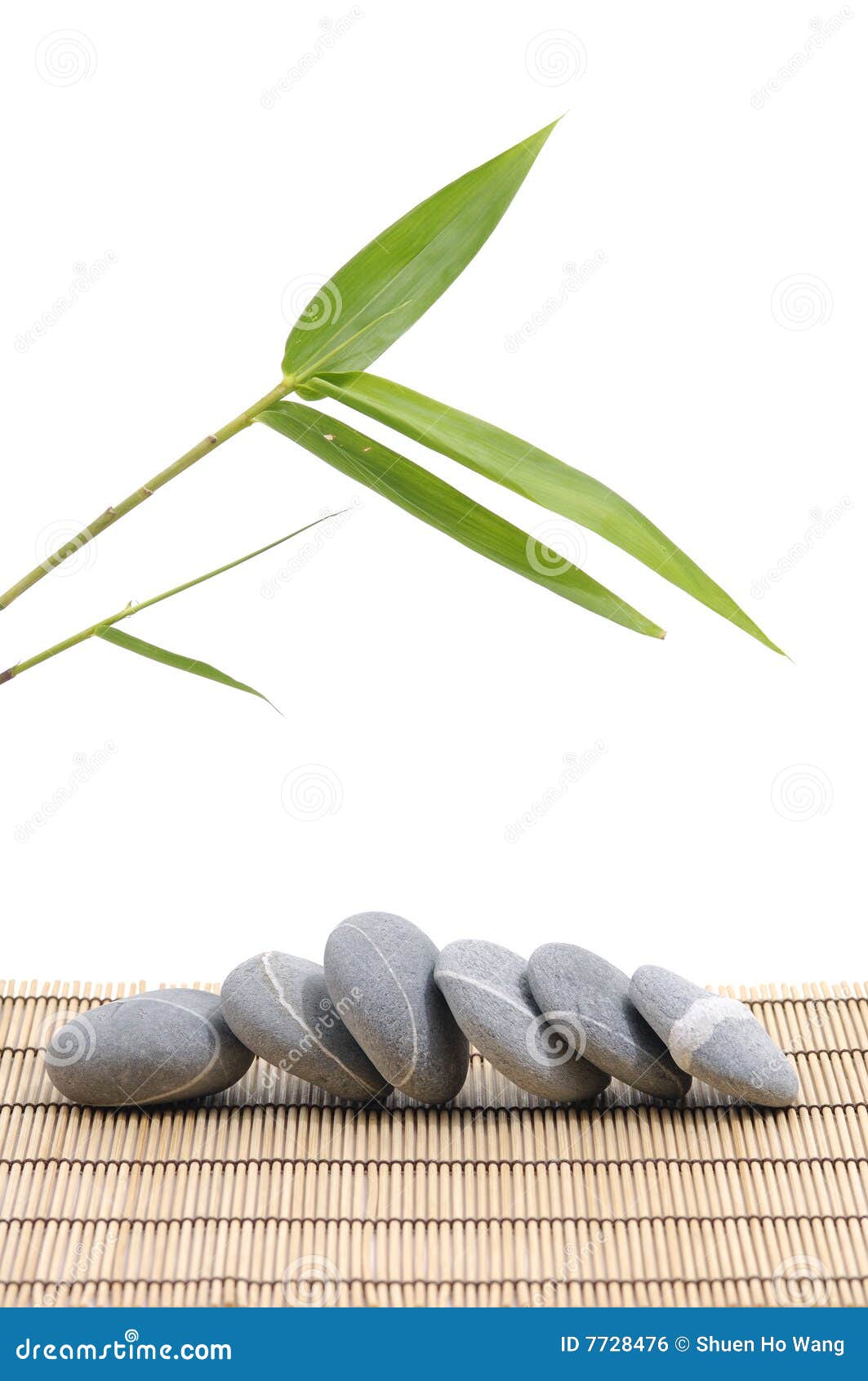 Bamboo and stones stock photo. Image of botany, meditation - 7728476