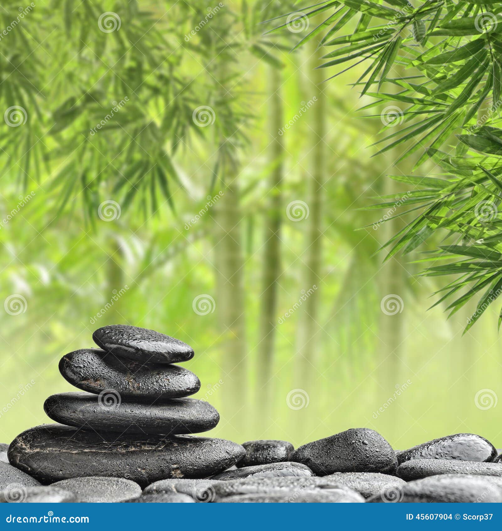 Bamboo stones zen στοκ εικόνες. εικόνα από armstrong - 45607904