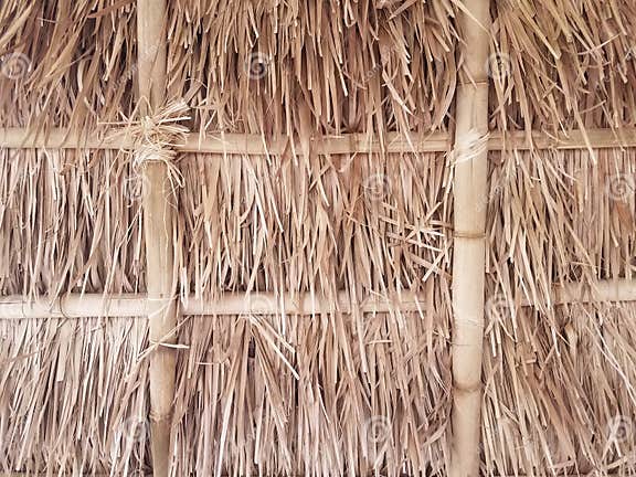 Bamboo and straw ceiling stock photo. Image of shoots - 118888032