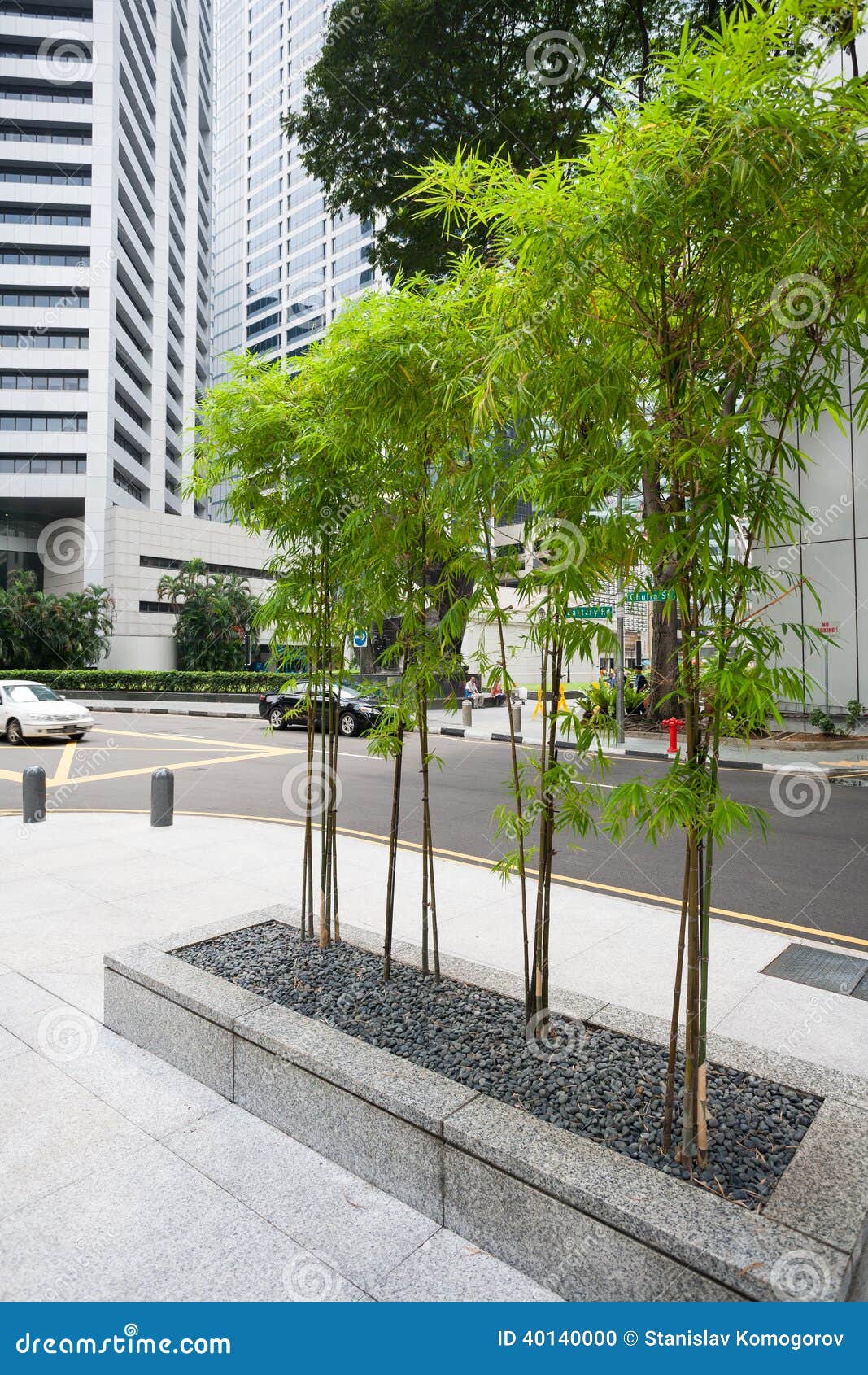 Bamboo on the Street in Singapore Stock Photo - Image of lawn, downtown ...