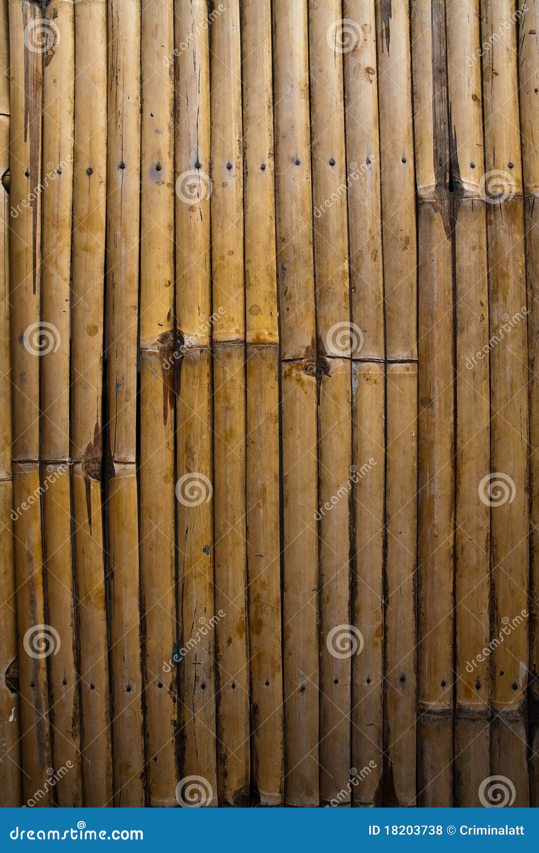 Bamboo striped pattern stock photo. Image of natural - 18203738