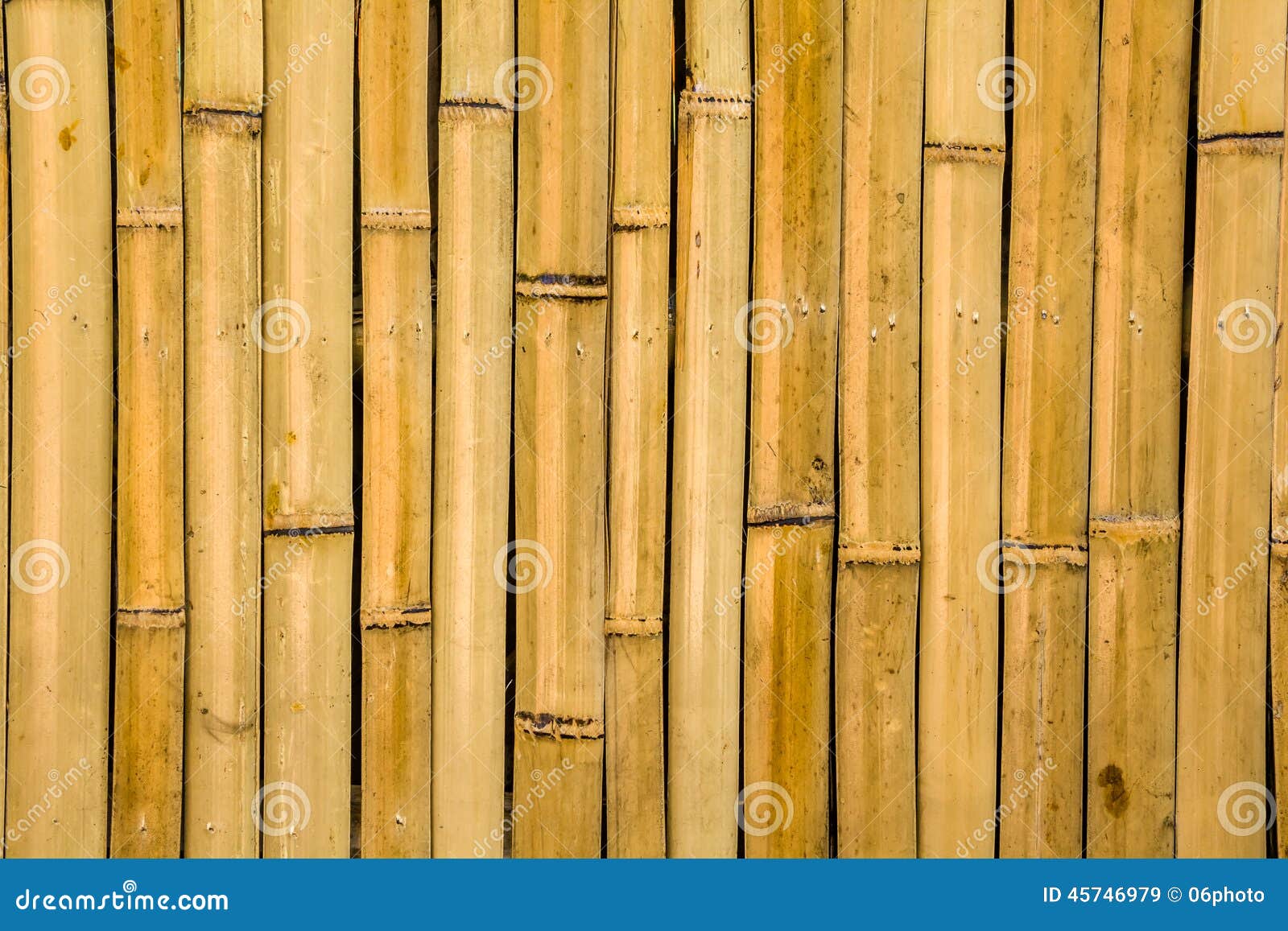 Bamboo Strips and Dried To Make the Background Stock Image - Image of ...