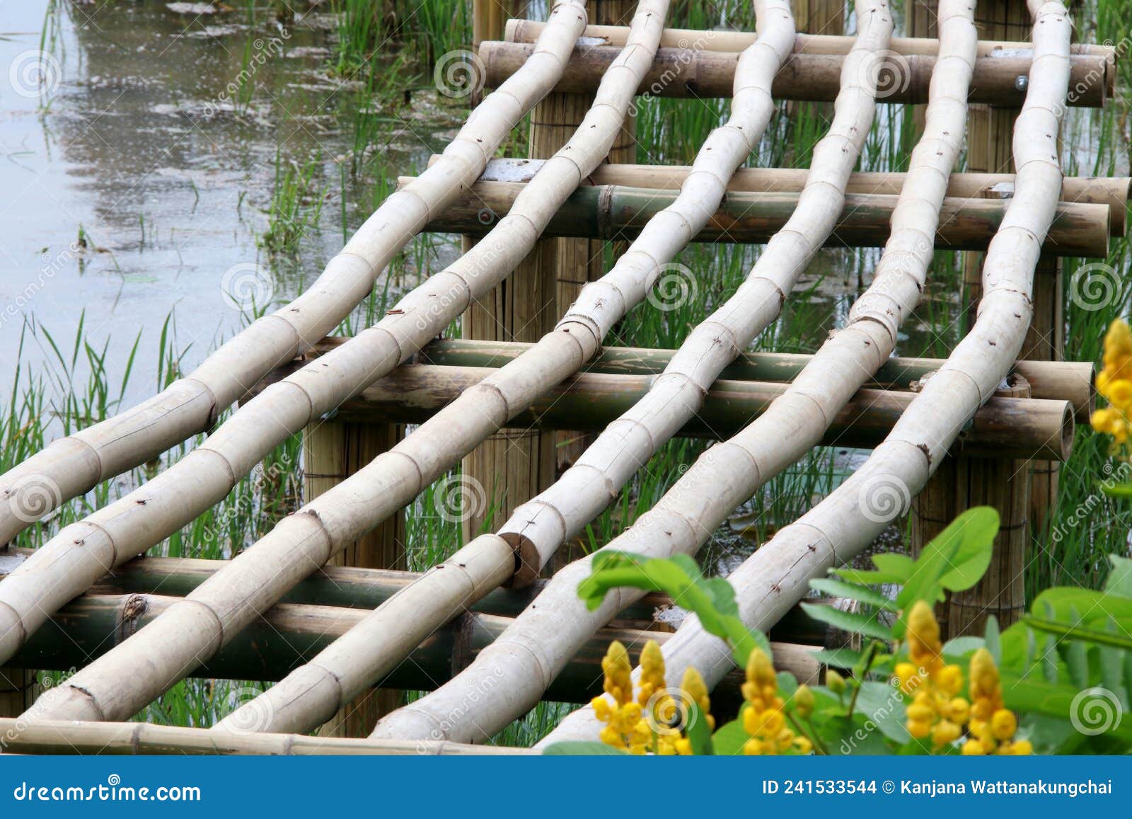 Bamboo Structure of Bridge. Stock Photo - Image of culture, environment ...