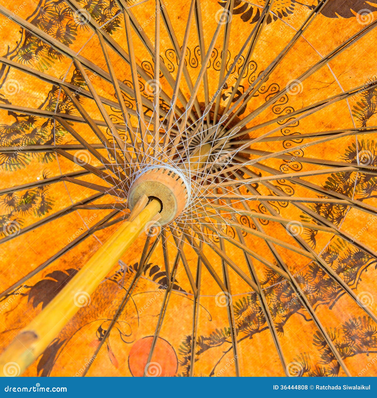 Bamboo Structure of Handmade Umbrella Stock Photo - Image of asian ...