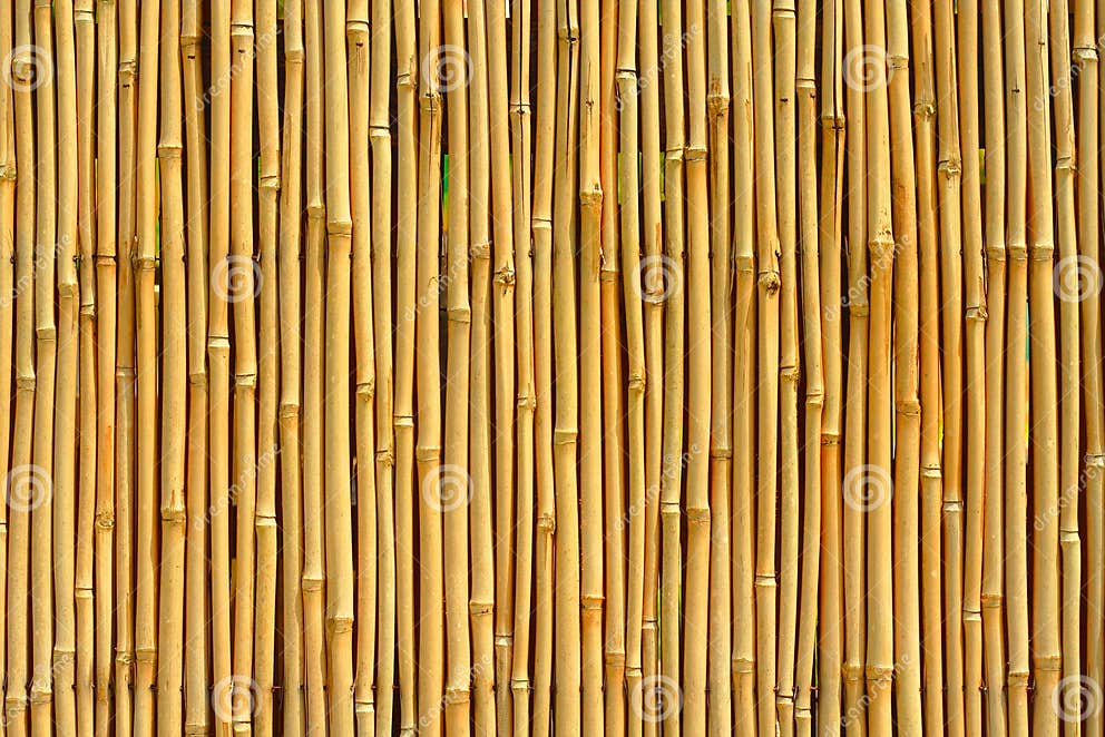 Bamboo Texture stock image. Image of natural, tree, timber - 17485507