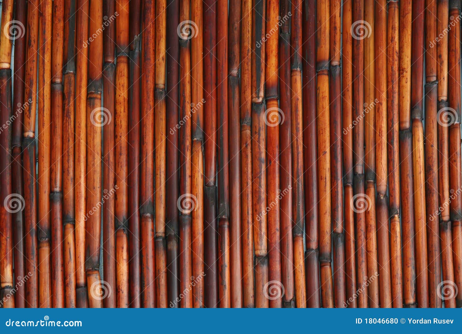 Bamboo texture stock photo. Image of color, architecture - 18046680