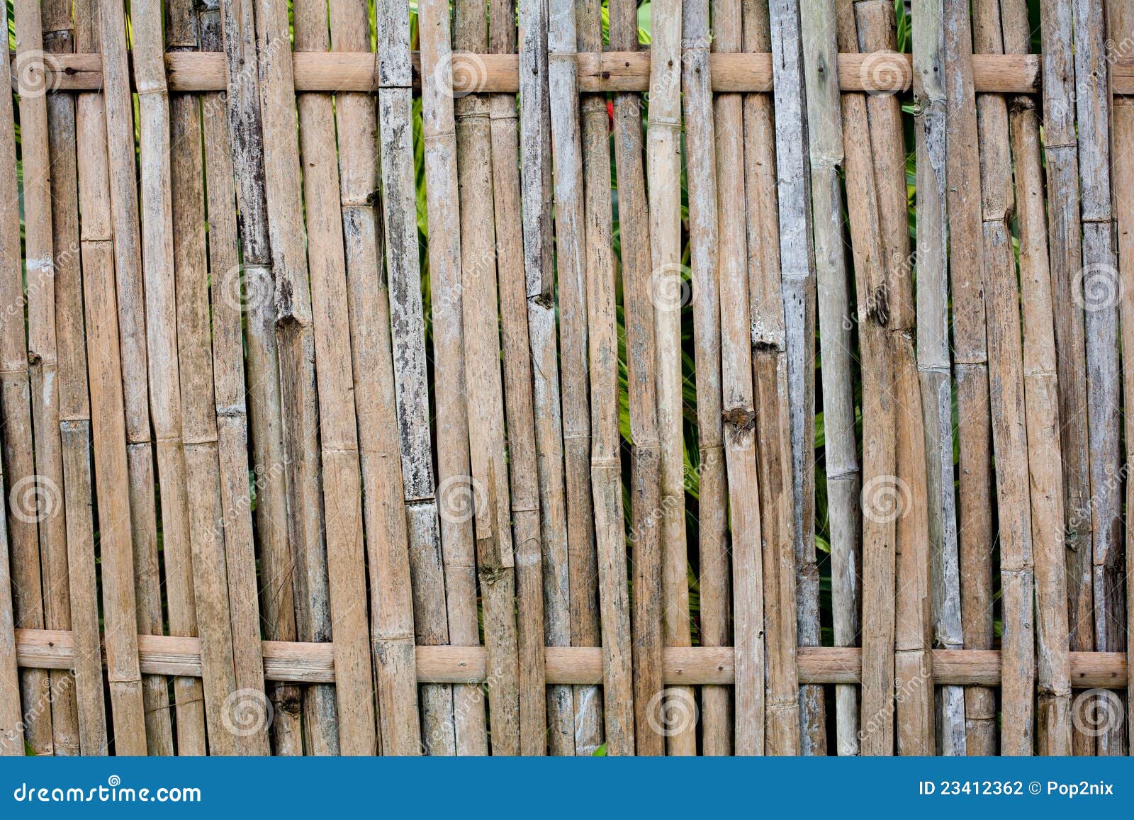 Bamboo texture stock photo. Image of lines, brown, chinese - 23412362