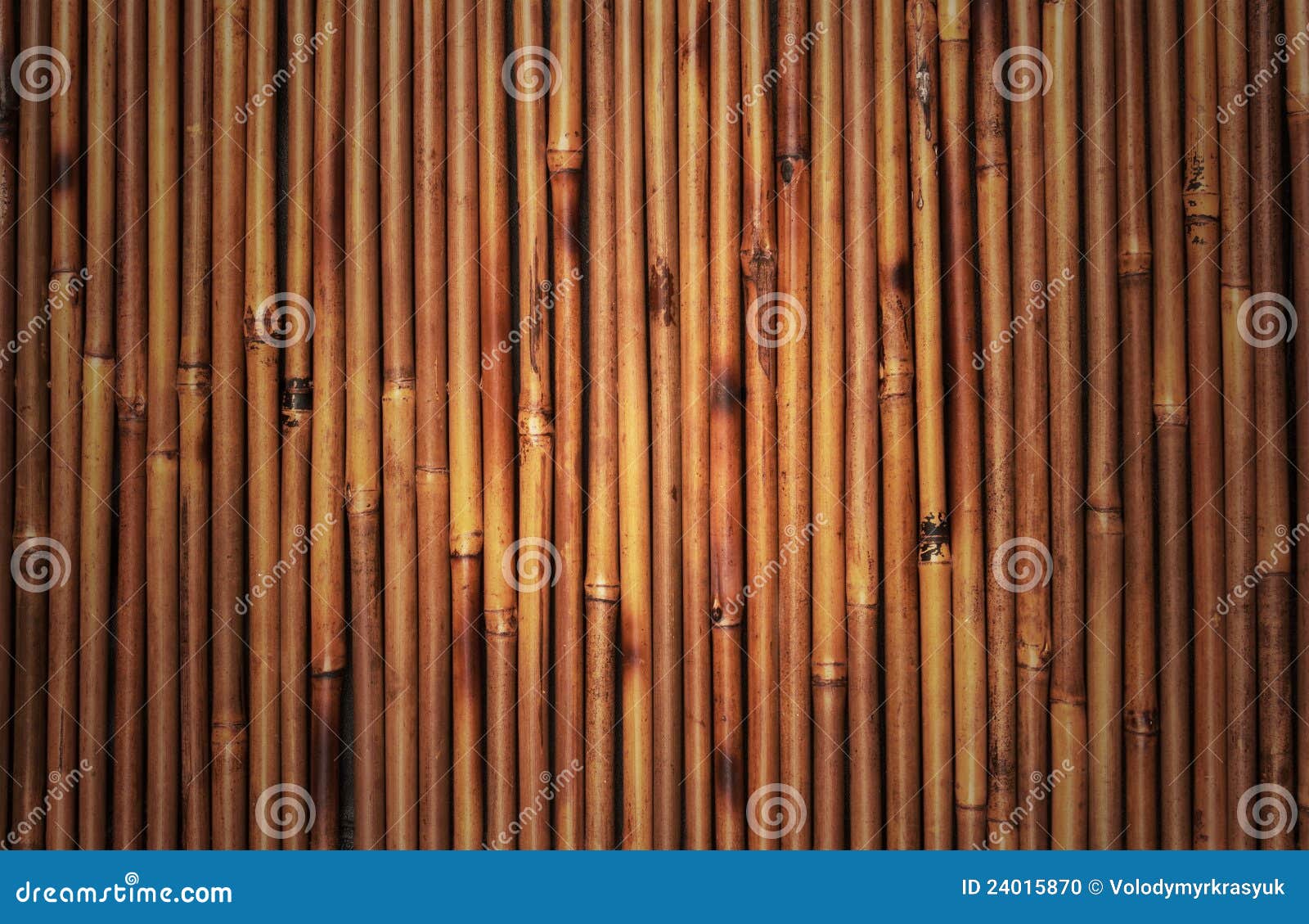 Bamboo texture stock photo. Image of design, frame, brown - 24015870