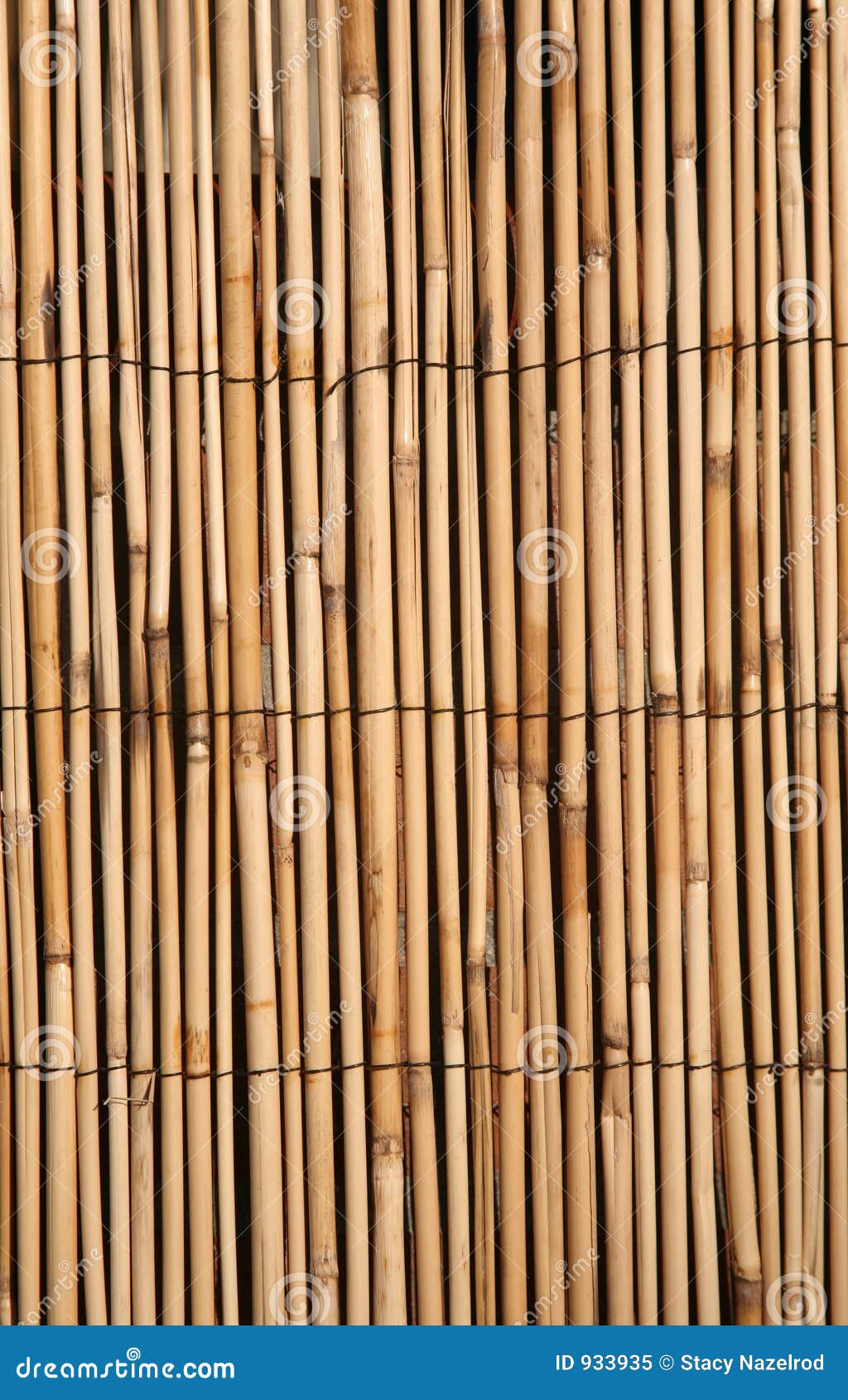 Bamboo texture background stock image. Image of bamboo - 933935