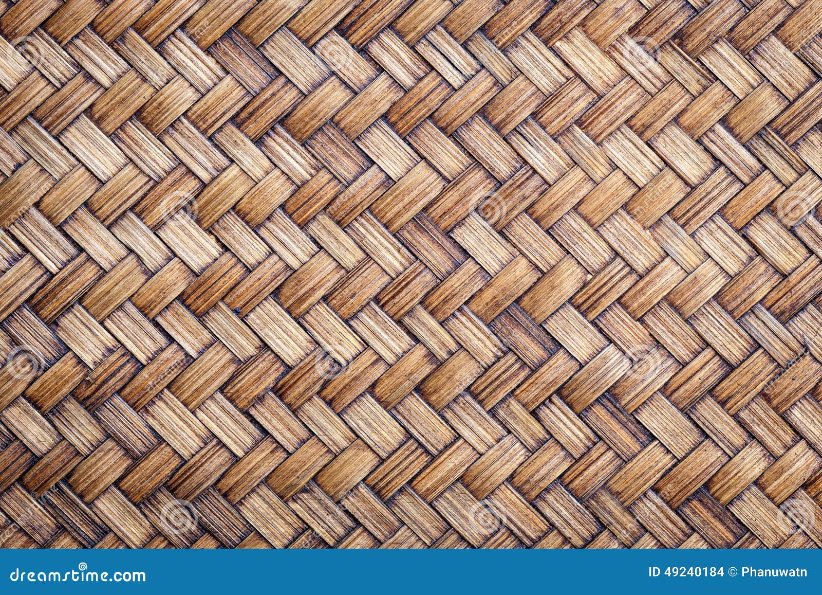 Bamboo Texture