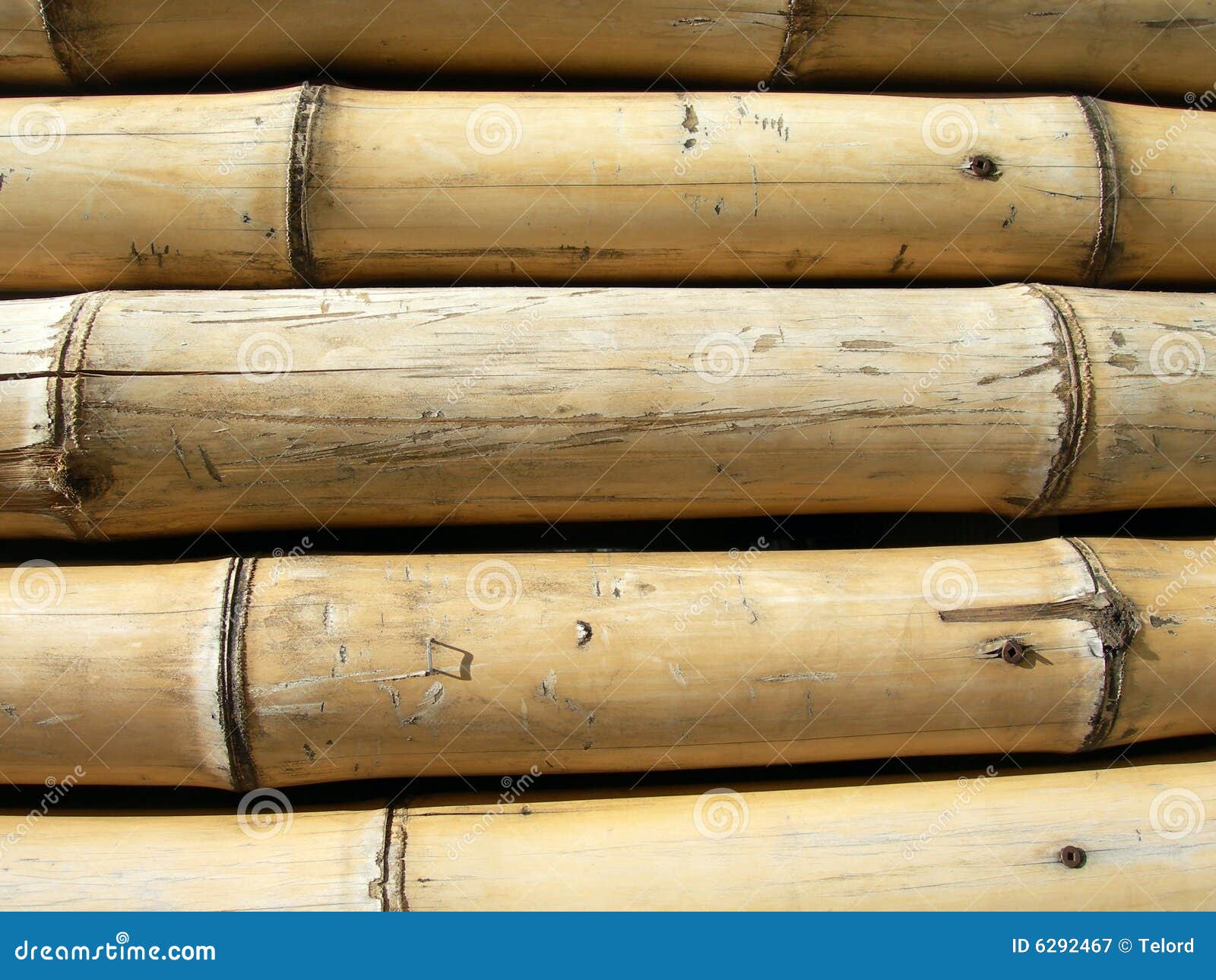 Bamboo texture closeup stock image. Image of macro, pipes - 6292467