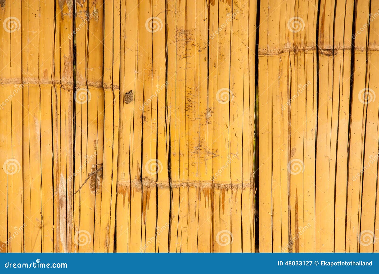 Bamboo texture stock image. Image of decoration, line - 48033127