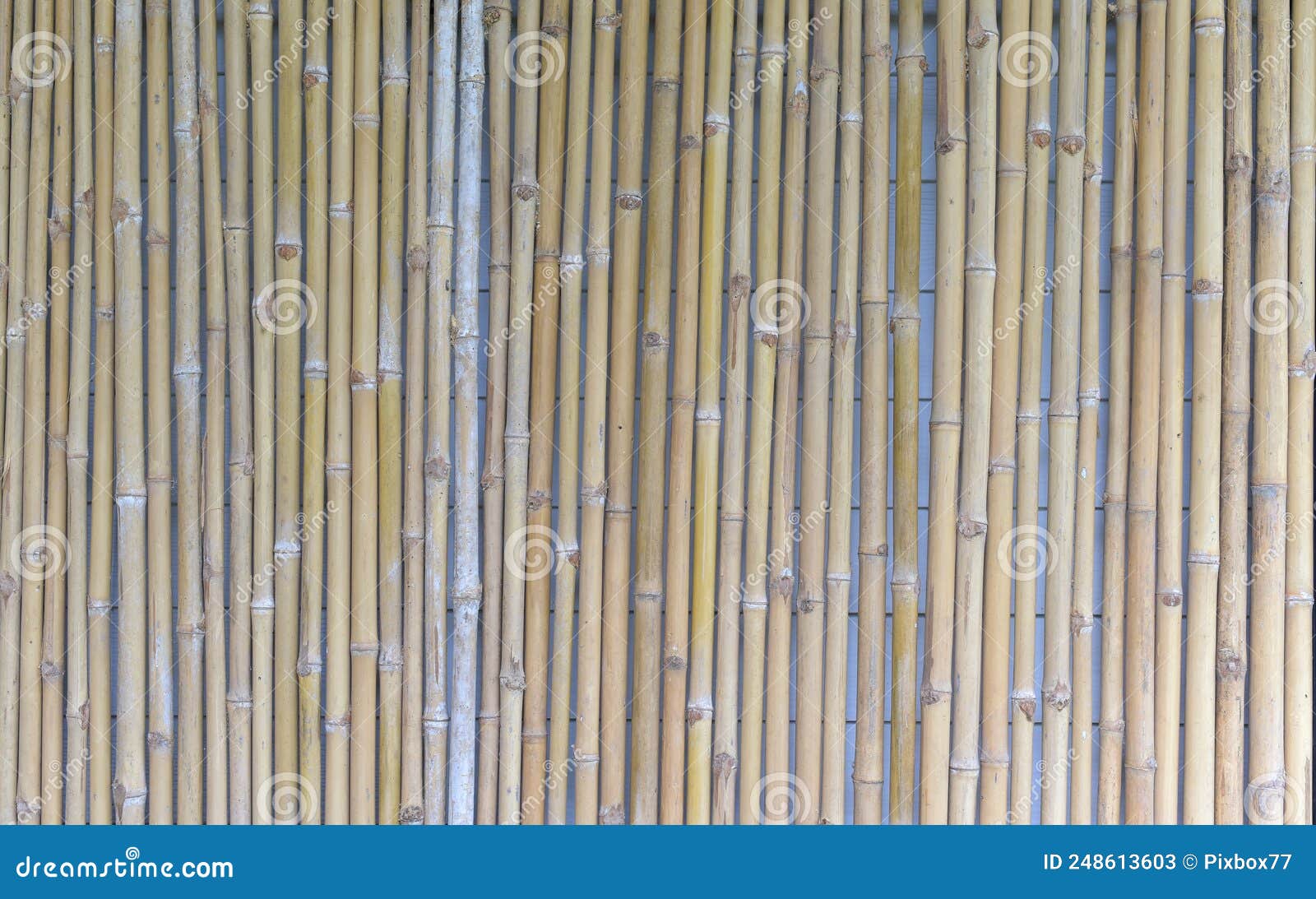 Bamboo Texture Panel Background Stock Image - Image of grunge, rustic ...