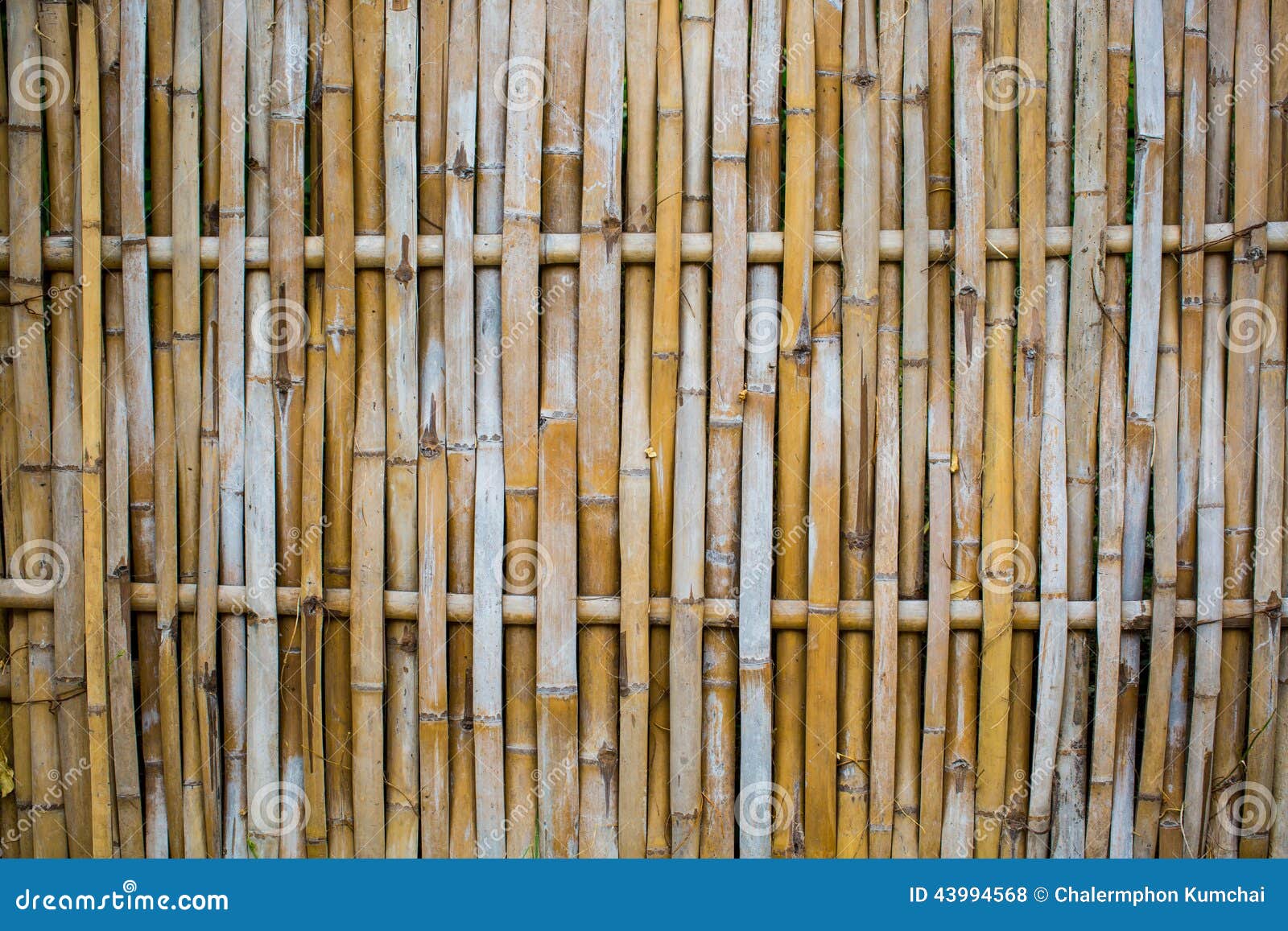 Bamboo Texture with Patterns Stock Photo - Image of pattern, retro ...