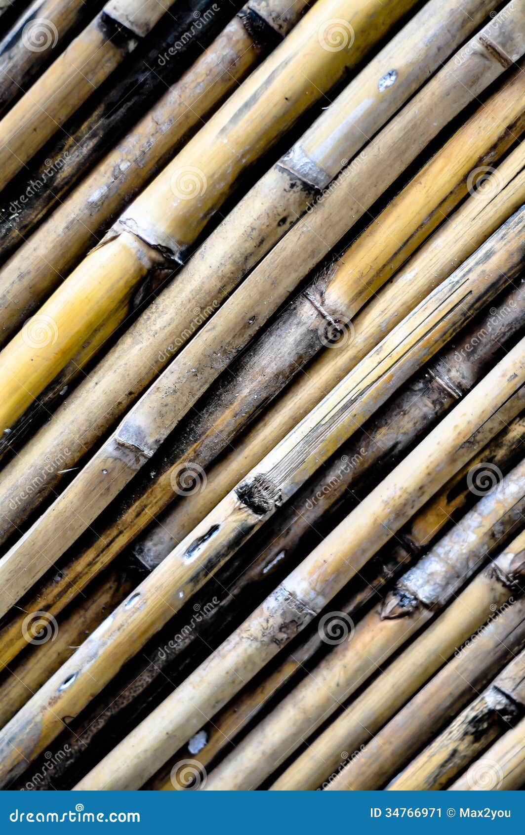 Bamboo Texture in Portait View Stock Image - Image of macro, sunny ...