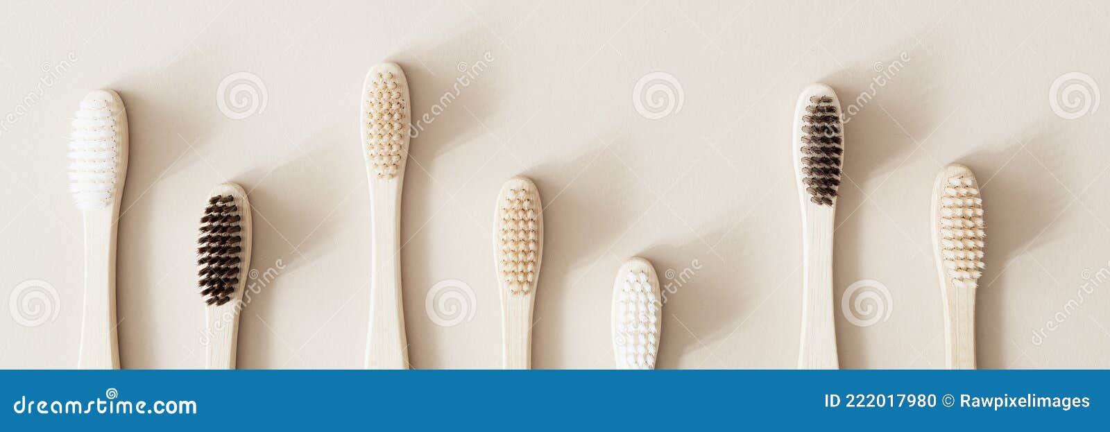 Bamboo Toothbrushes And A Dental Tooth Numbering Chart Stock Image ...