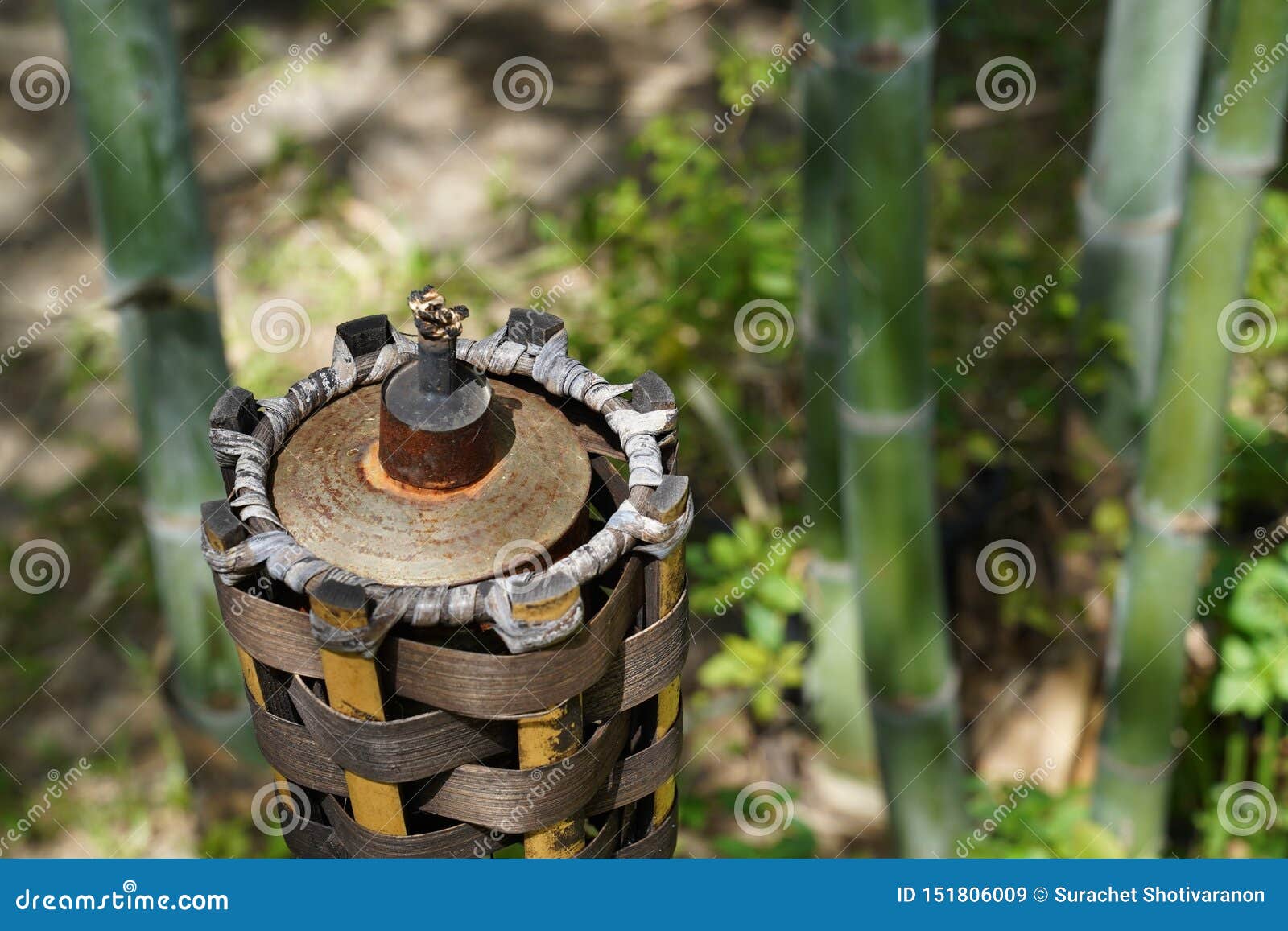 Bamboo Torch without Fire in the Garden at Noon Stock Image - Image of ...