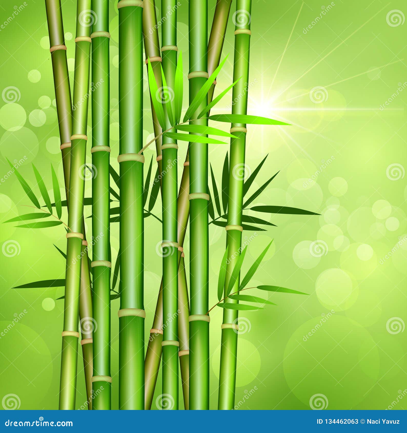 Bamboo Stem on Green Background, Vector Illustration Stock Vector ...