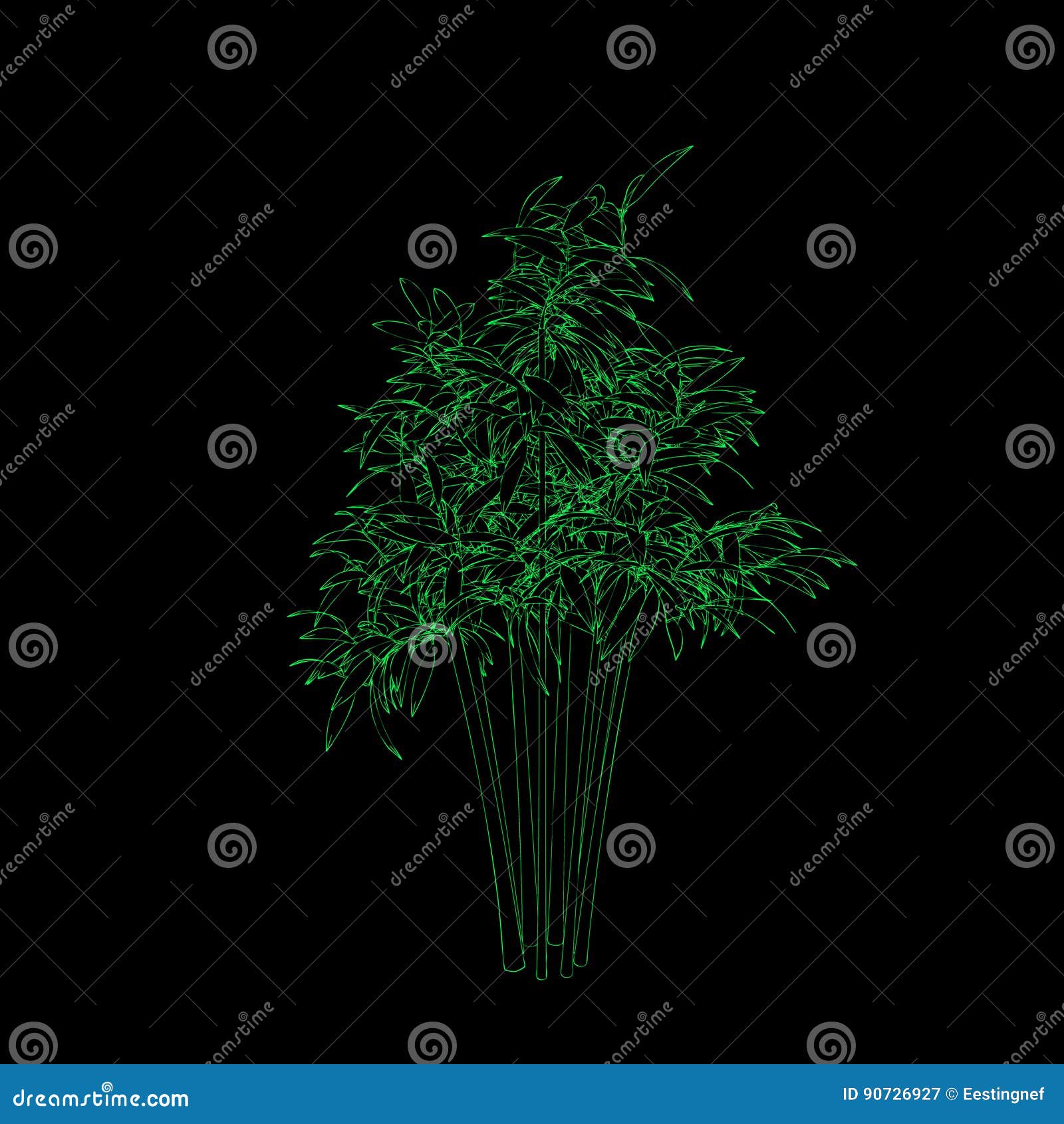 Bamboo Tree. Isolated on Black Background. Vector Outline Illustration ...