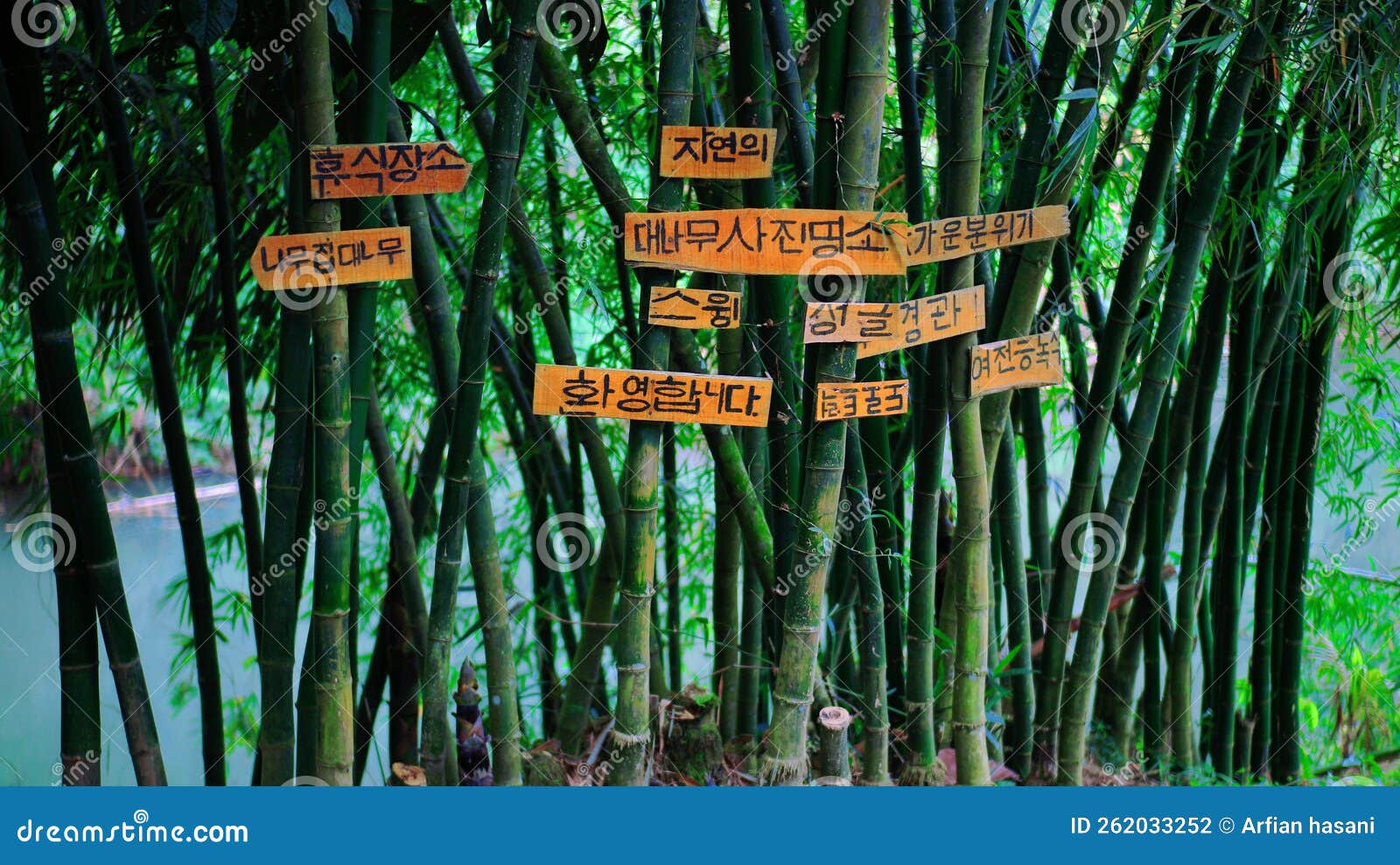 Bamboo Tree with Korean Inscription Stock Photo - Image of korean, tree ...