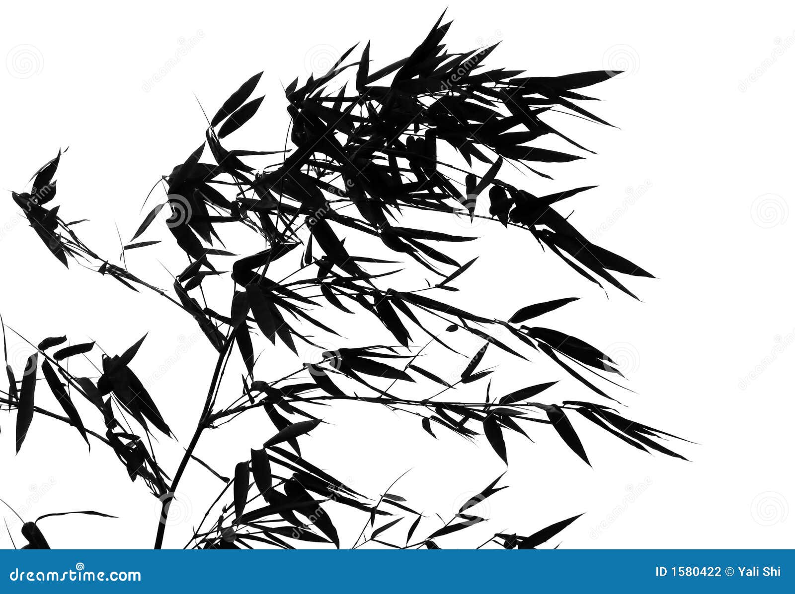 Bamboo Tree in the Wind stock illustration. Illustration of grass - 1580422