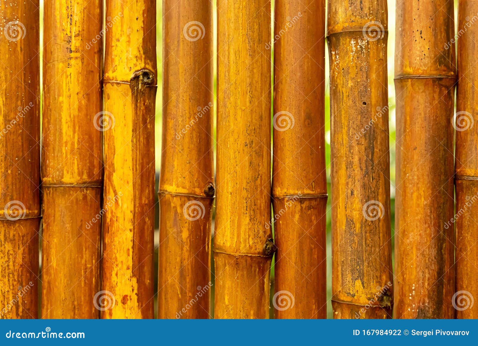 Bamboo Trunk Folded into a Vertical Fence Brown Background Basis ...