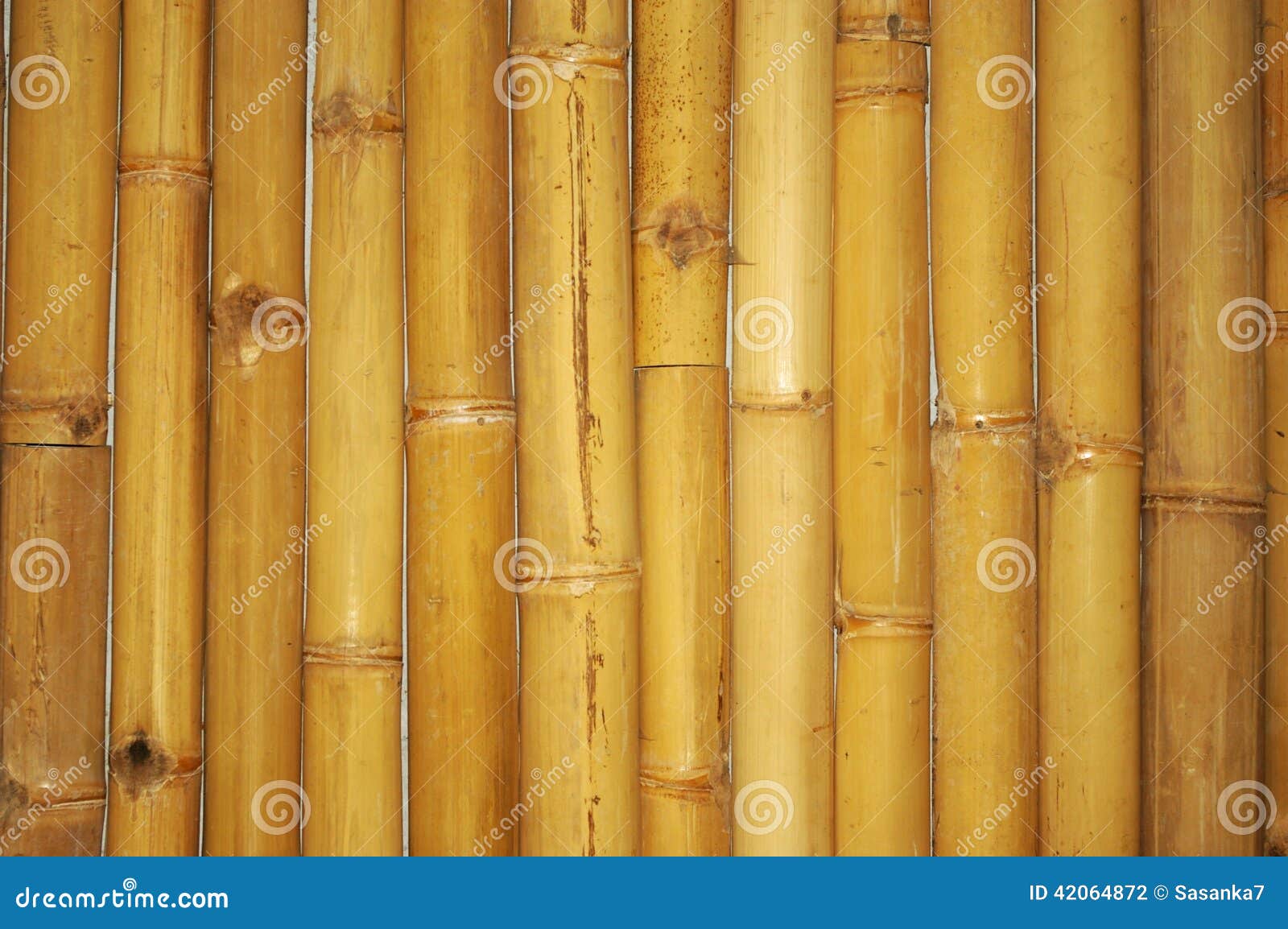 Bamboo trunks stock photo. Image of vintage, bamboo, abstract - 42064872