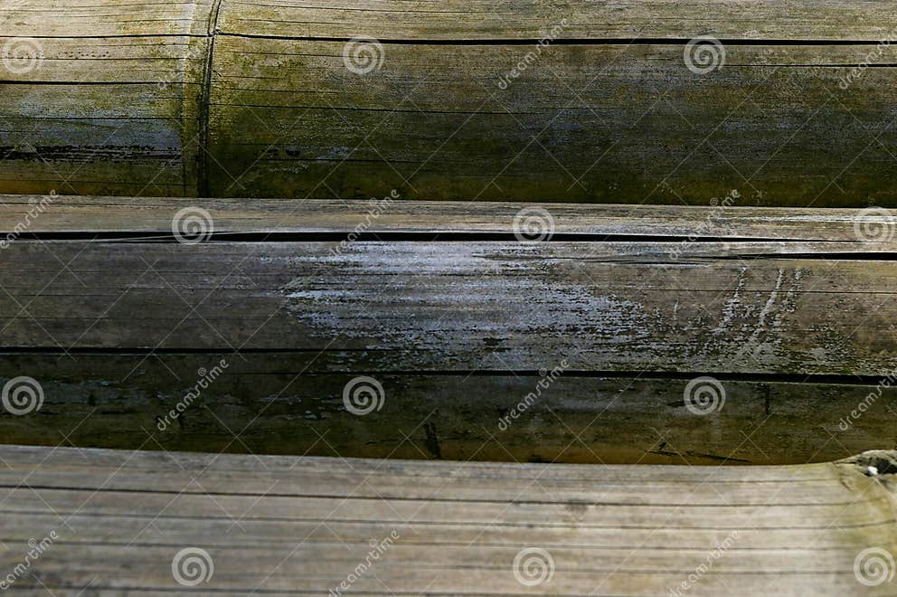 Bamboo trunks stock image. Image of natural, horizontal - 52207841