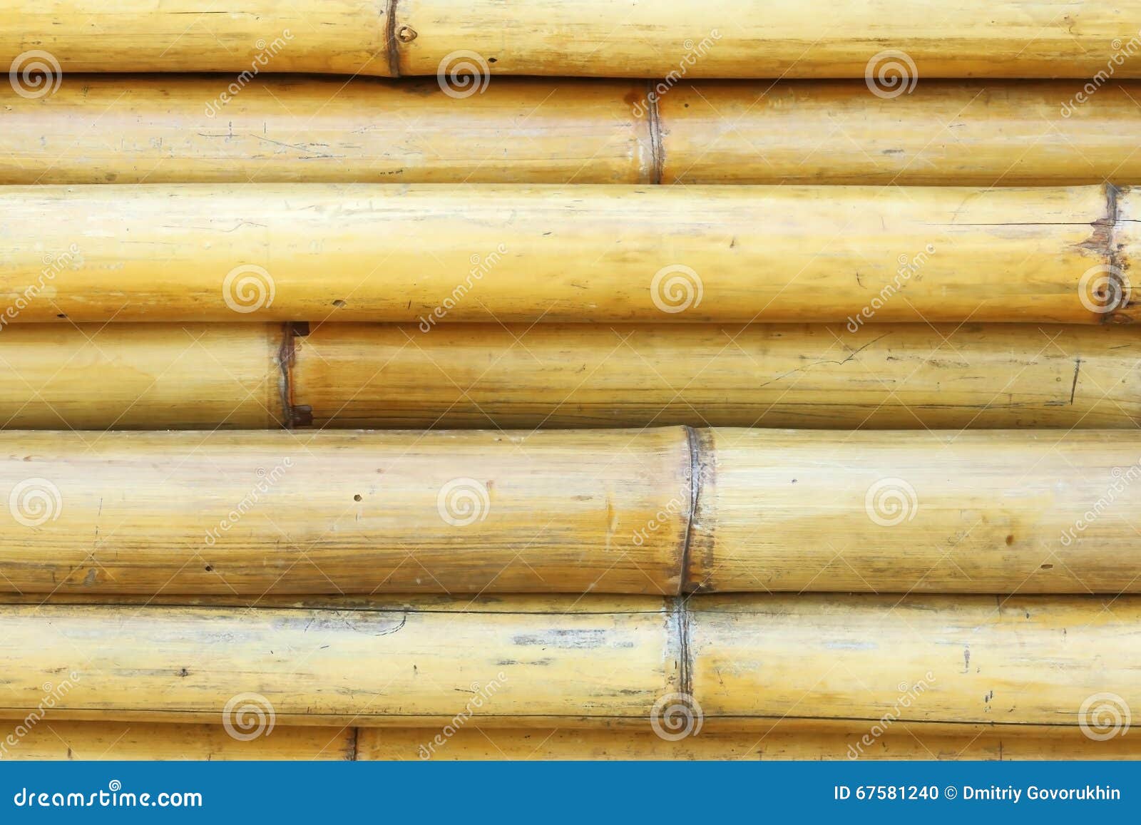 Bamboo Trunks Stacked on Each Other Stock Photo - Image of wood ...