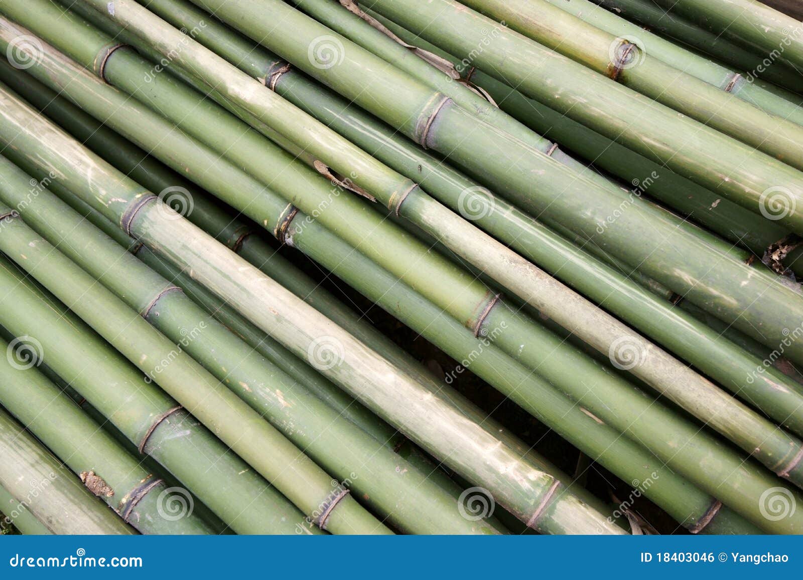 Bamboo Tube Container Bamboo Tube Stock Image | CartoonDealer.com #53872723