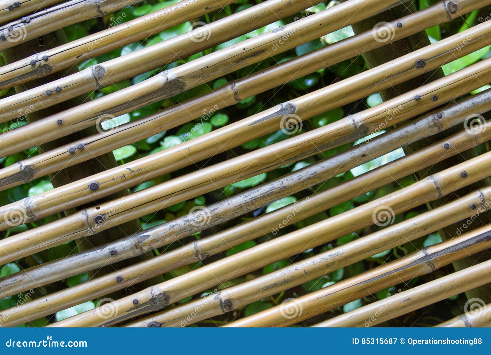 Bamboo tube for background stock image. Image of container - 85315687