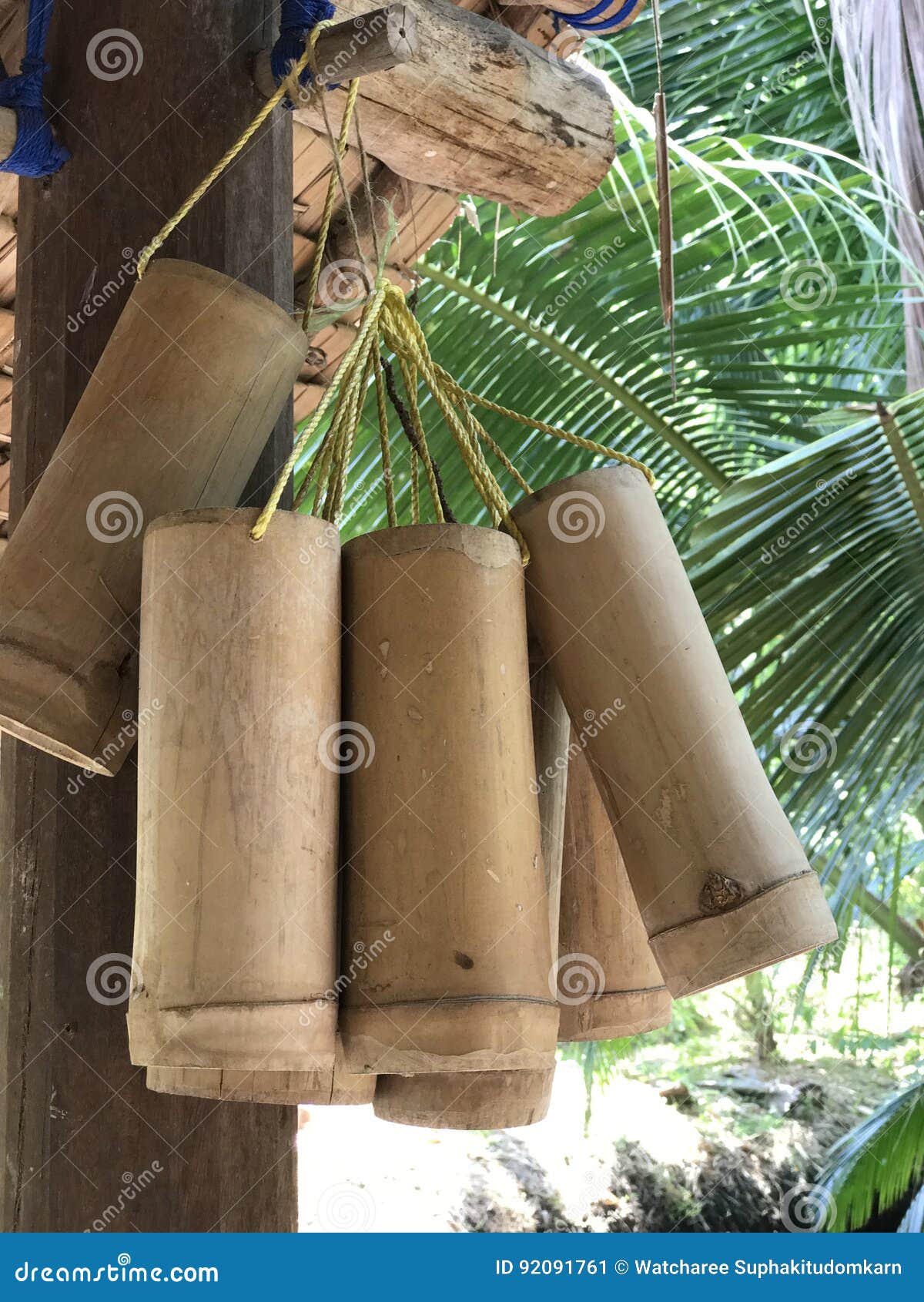 Bamboo tube. stock image. Image of interesting, bamboo - 92091761