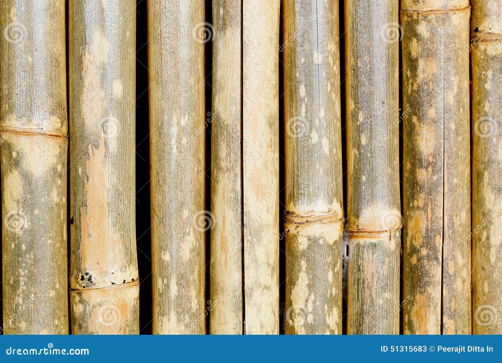 Tube Texture, Background Of Decorative Cork Board Texture. Panel For ...