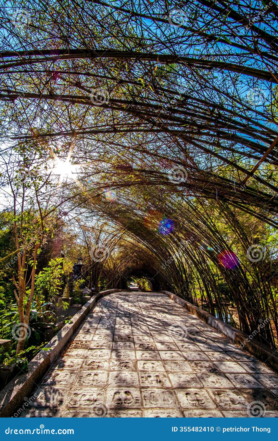 Bamboo Tunnel and Pavement Walkway Path in Nature Forest Landscape ...