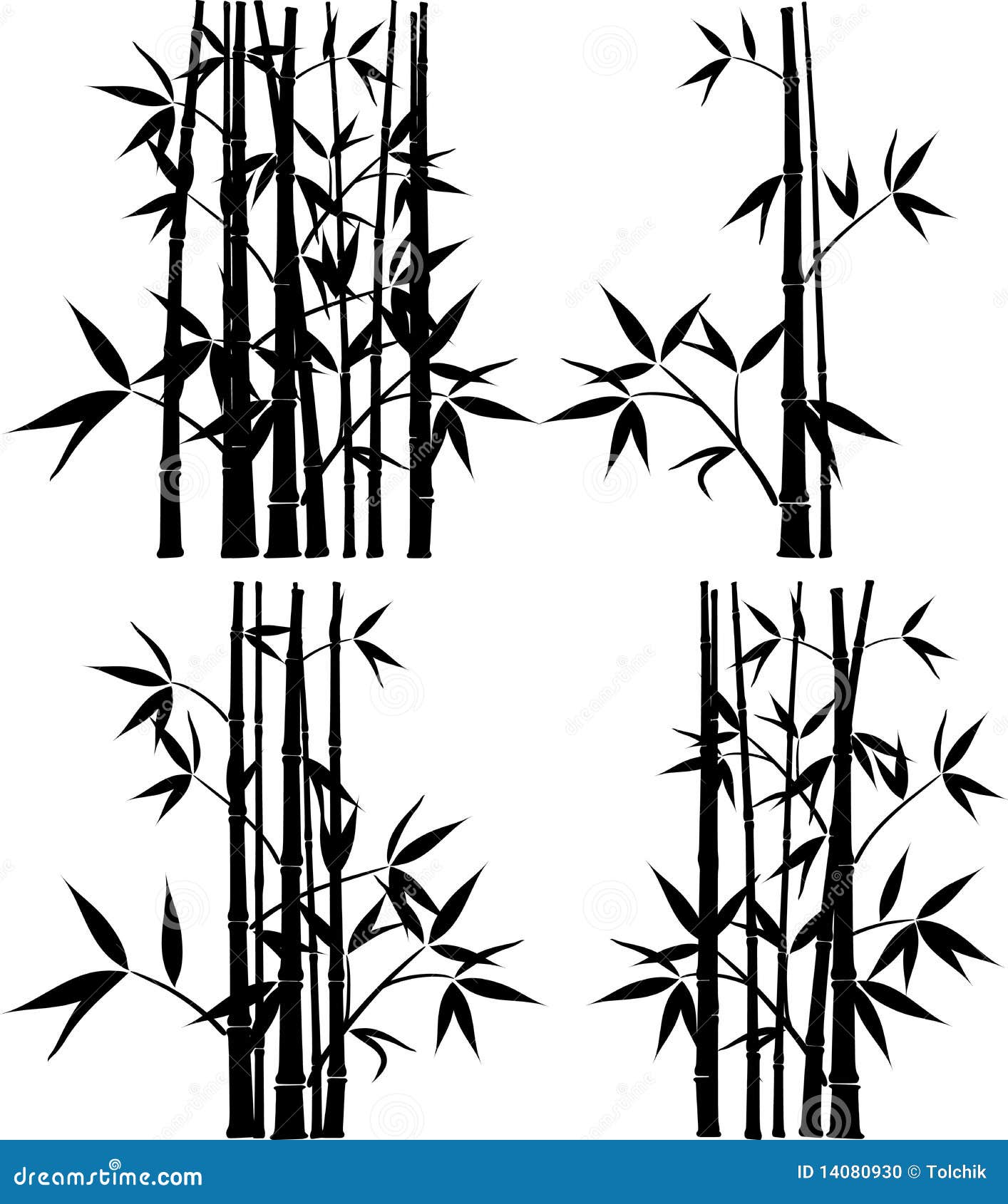 Bamboo, vector stock vector. Illustration of flora, branch - 14080930
