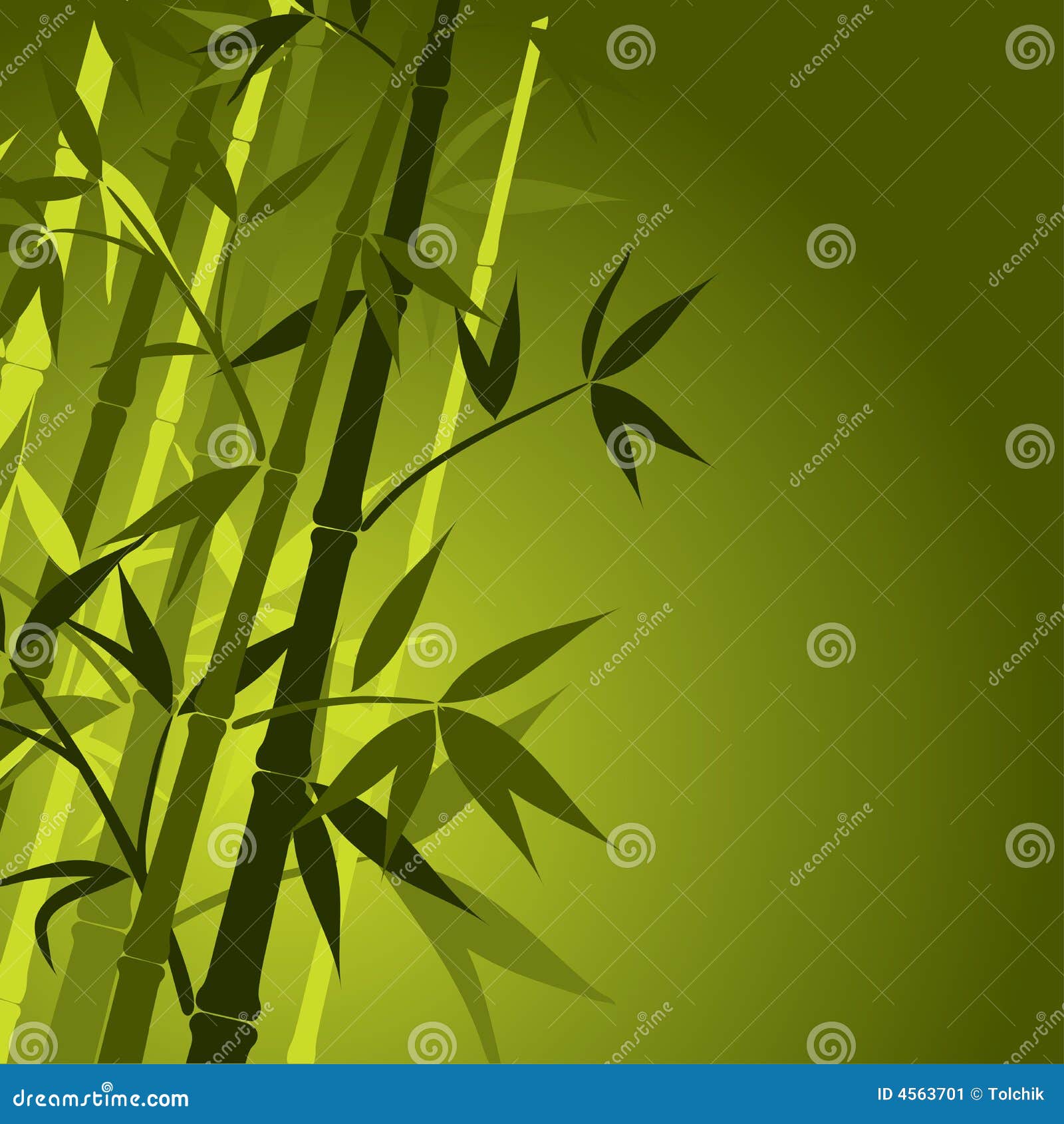Bamboo, vector stock vector. Illustration of japanese - 4563701