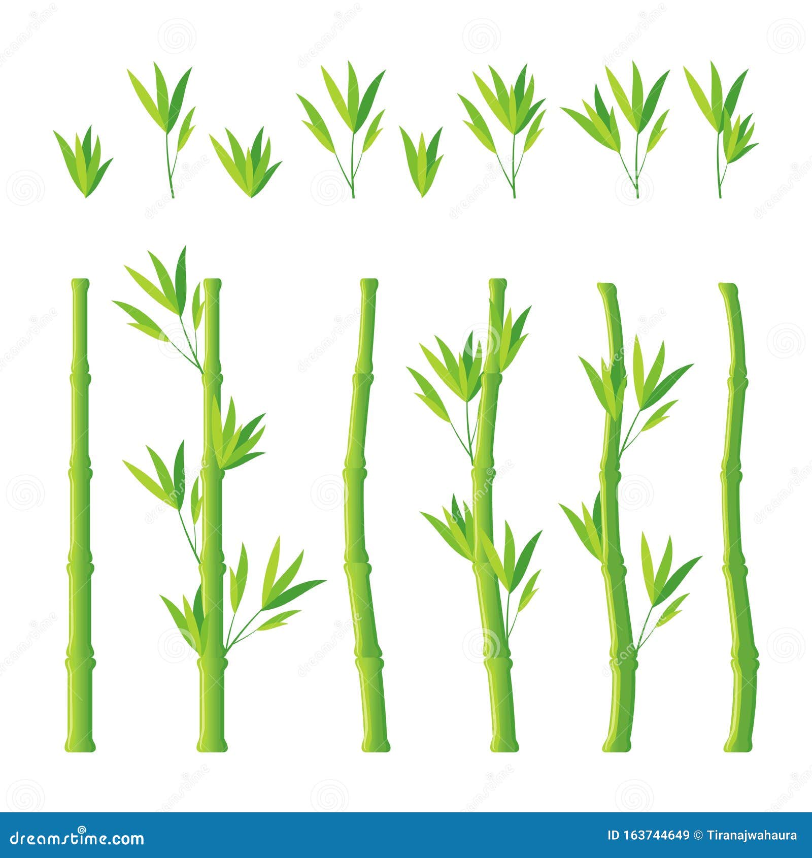 Bamboo Vector Design Isolated on White Background Stock Vector ...