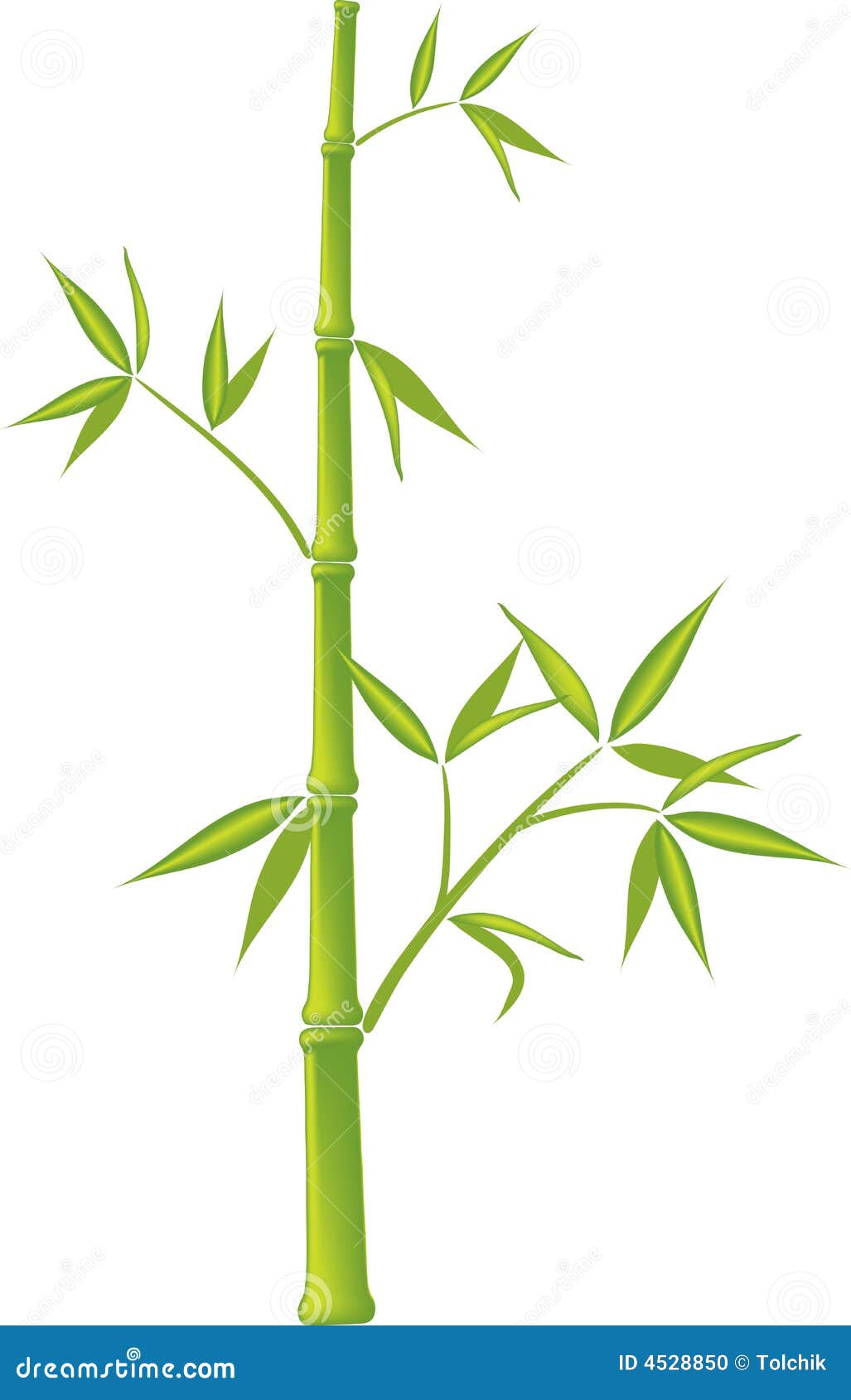 Bamboo, vector (mesh) stock vector. Illustration of tree - 4528850
