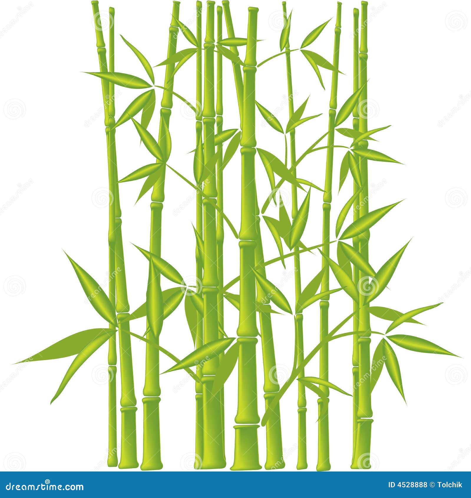 Bamboo, vector (mesh) stock vector. Illustration of bunch - 4528888