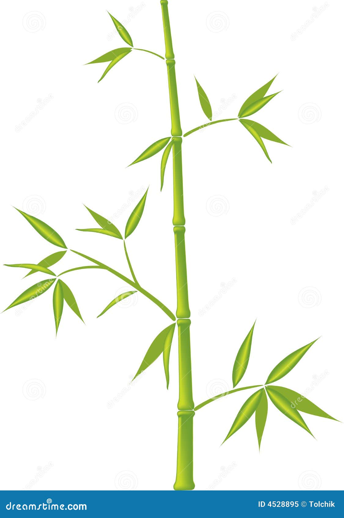 Bamboo, vector (mesh) stock vector. Illustration of japanese - 4528895