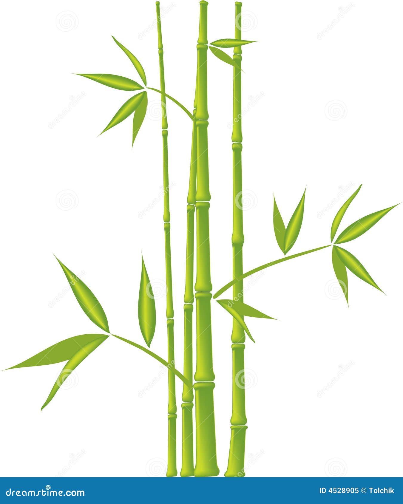 Bamboo, Vector | CartoonDealer.com #4563701