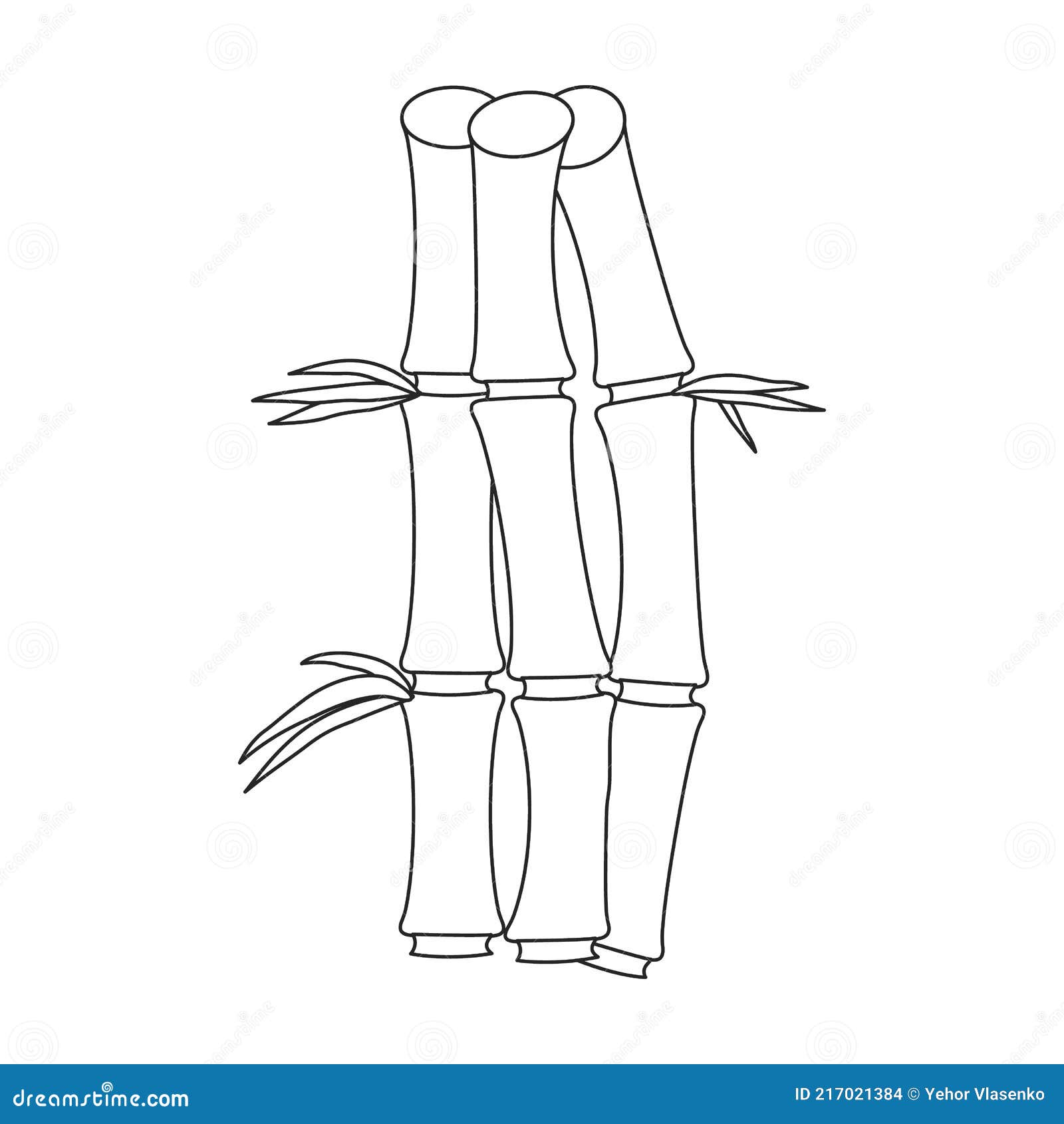 Bamboo Vector Outline Icon. Vector Illustration Tree on White ...