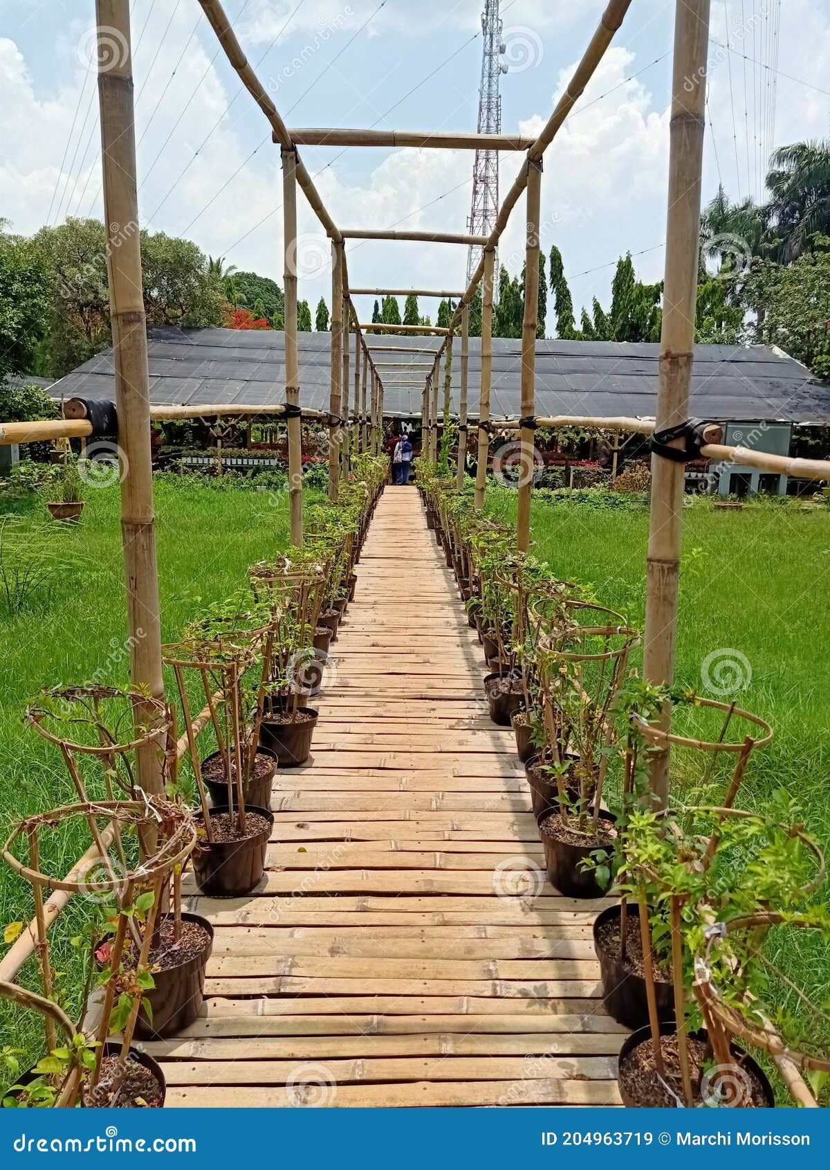 Bamboo walkway in park stock image. Image of walkway - 204963719