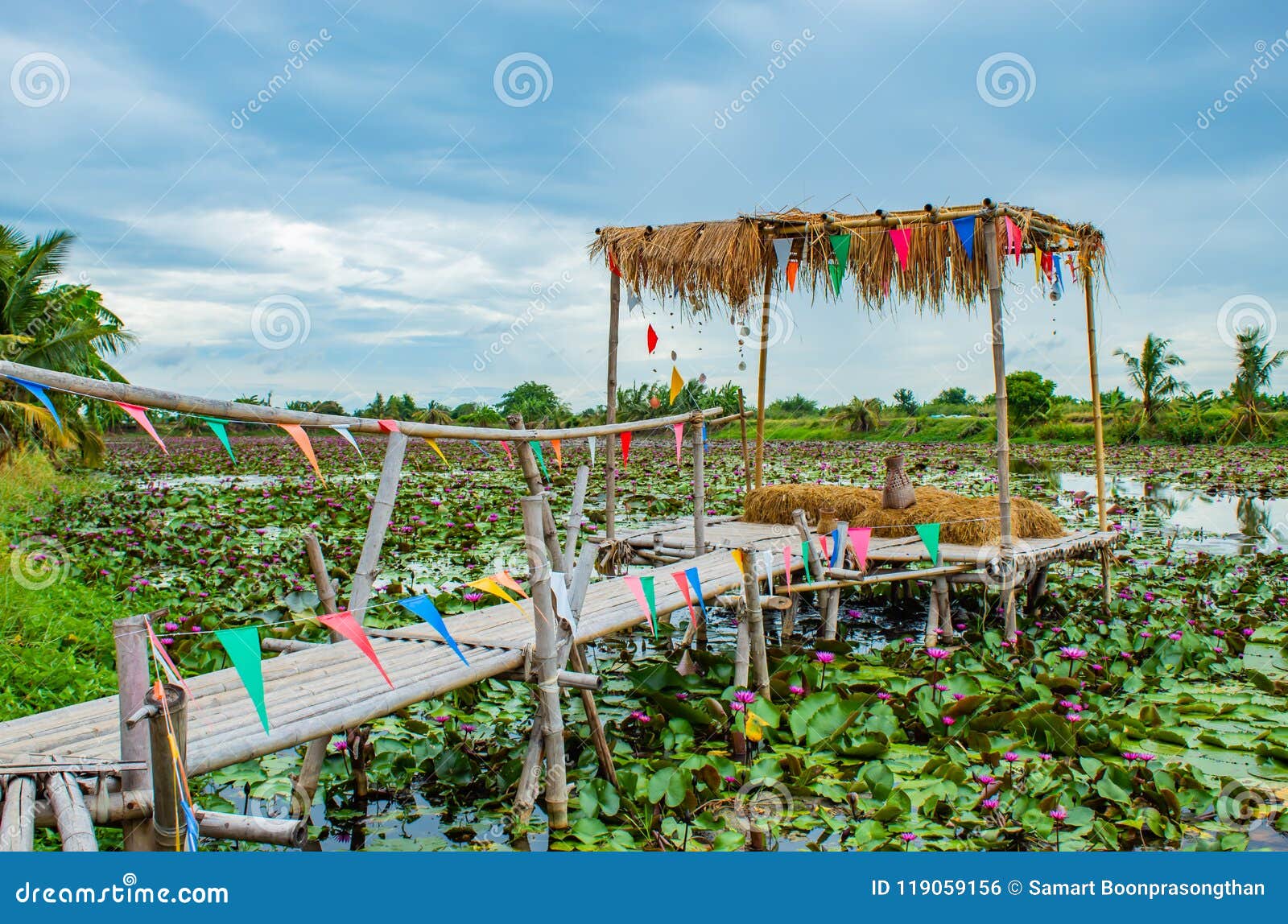 Bamboo walkway on the pond stock photo. Image of bloom - 119059156